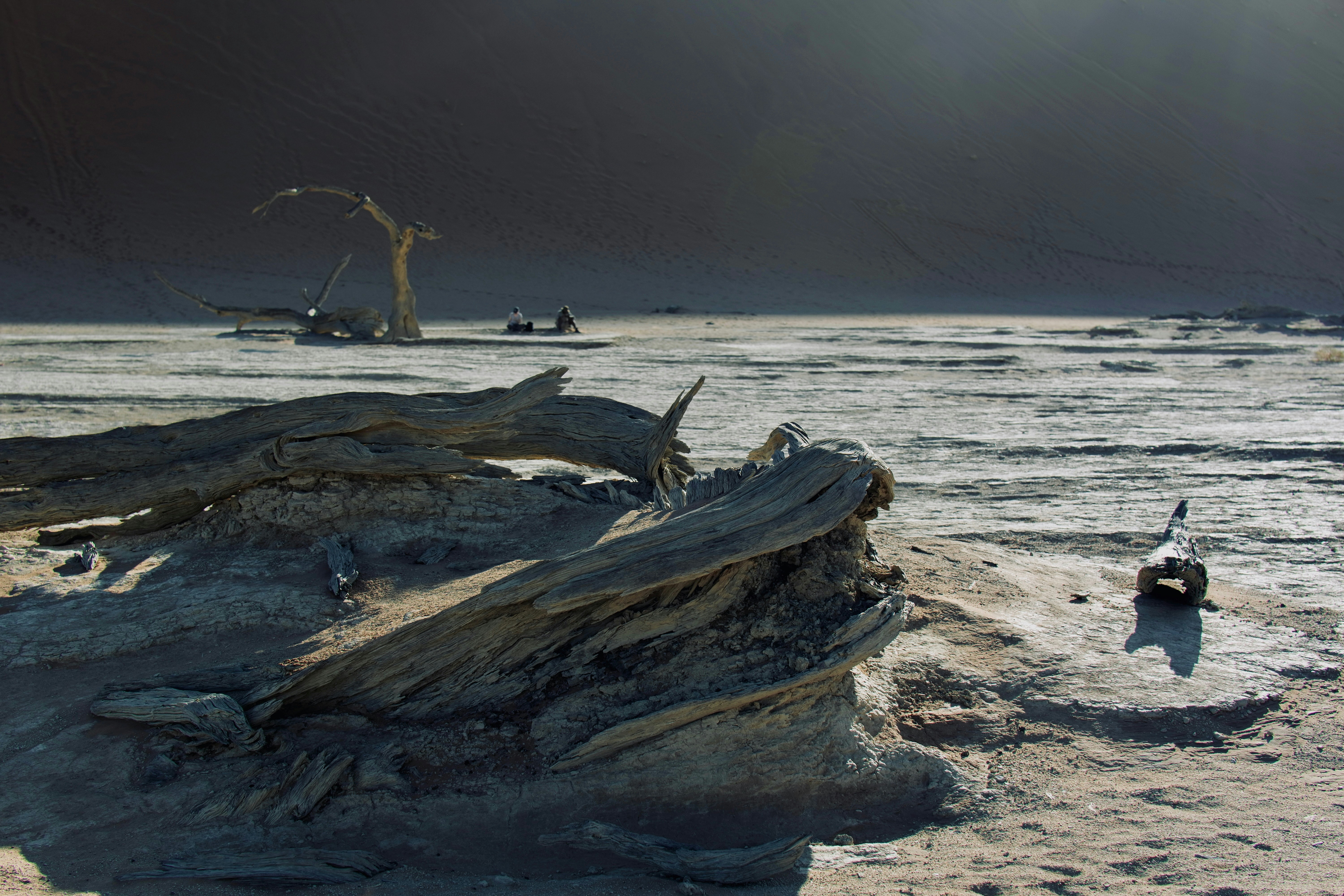 Death Valley is immortal. Dead Vlei, Namib-Naukluft National Park, Namibia | Dry landscape with dead trees and driftwood.