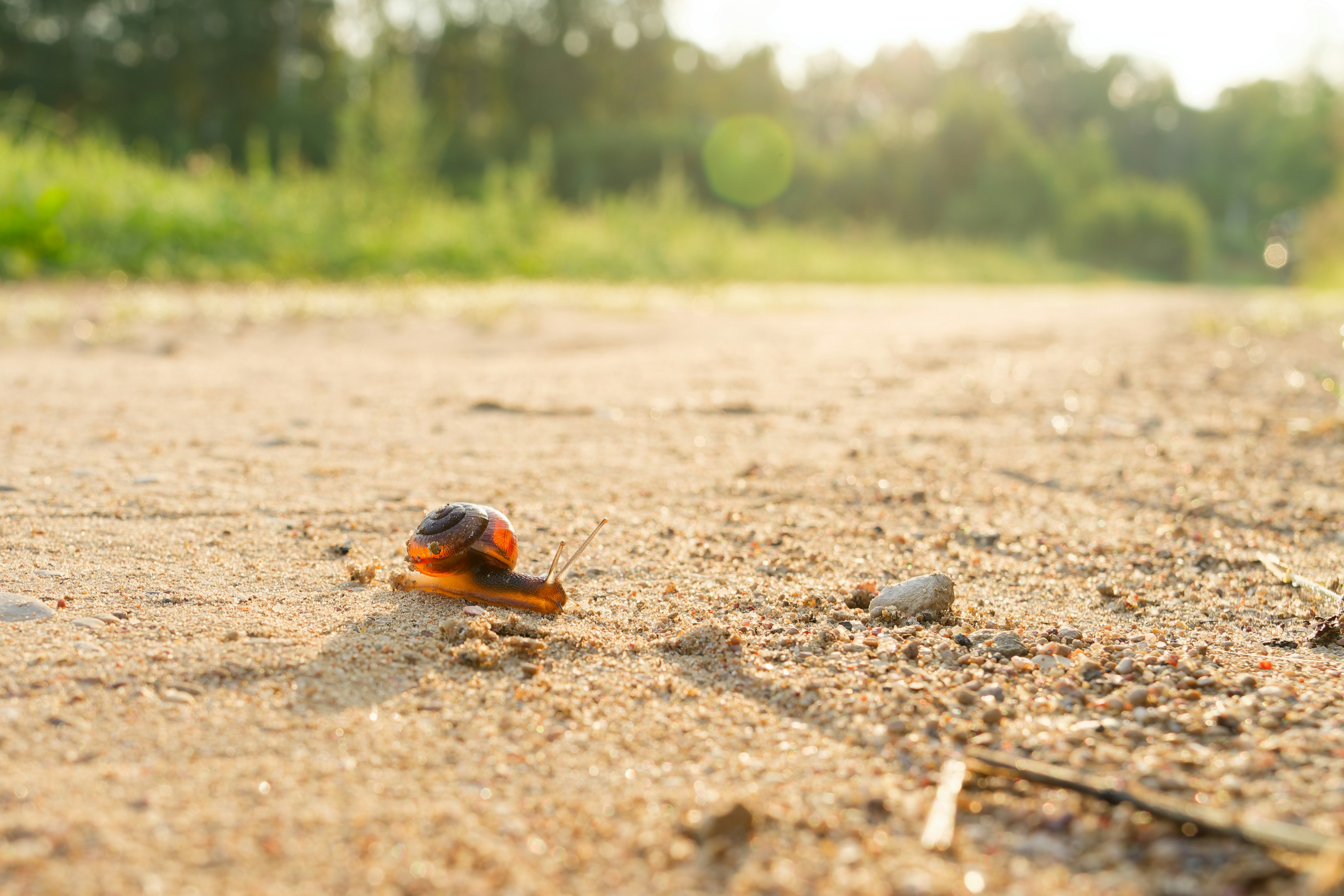 Photo by Andrus Lukas with Sony Alpha 7 II