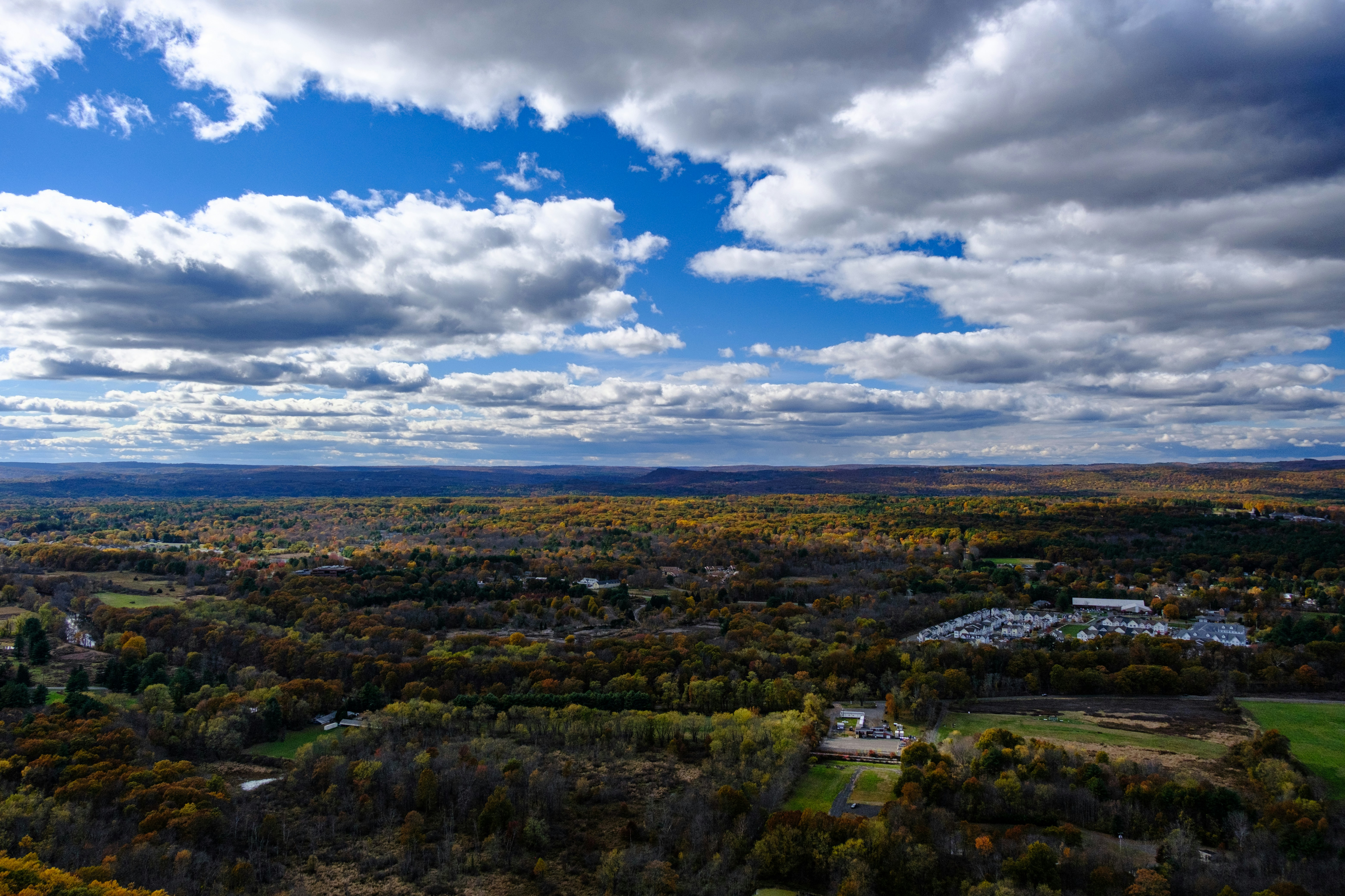 Autumn landscape with colorful trees under cloudy sky