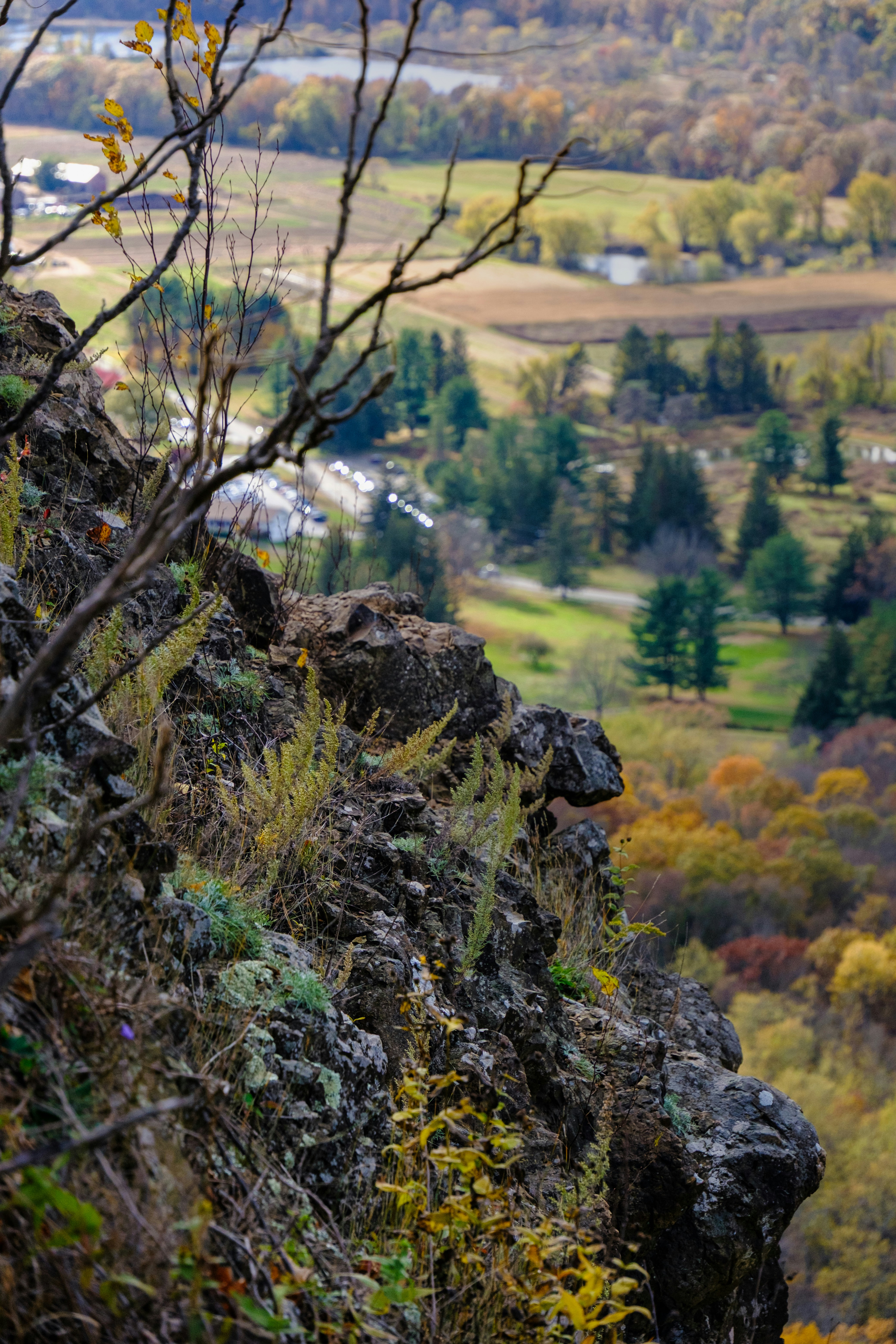 Rocky cliff overlooking autumn valley with trees