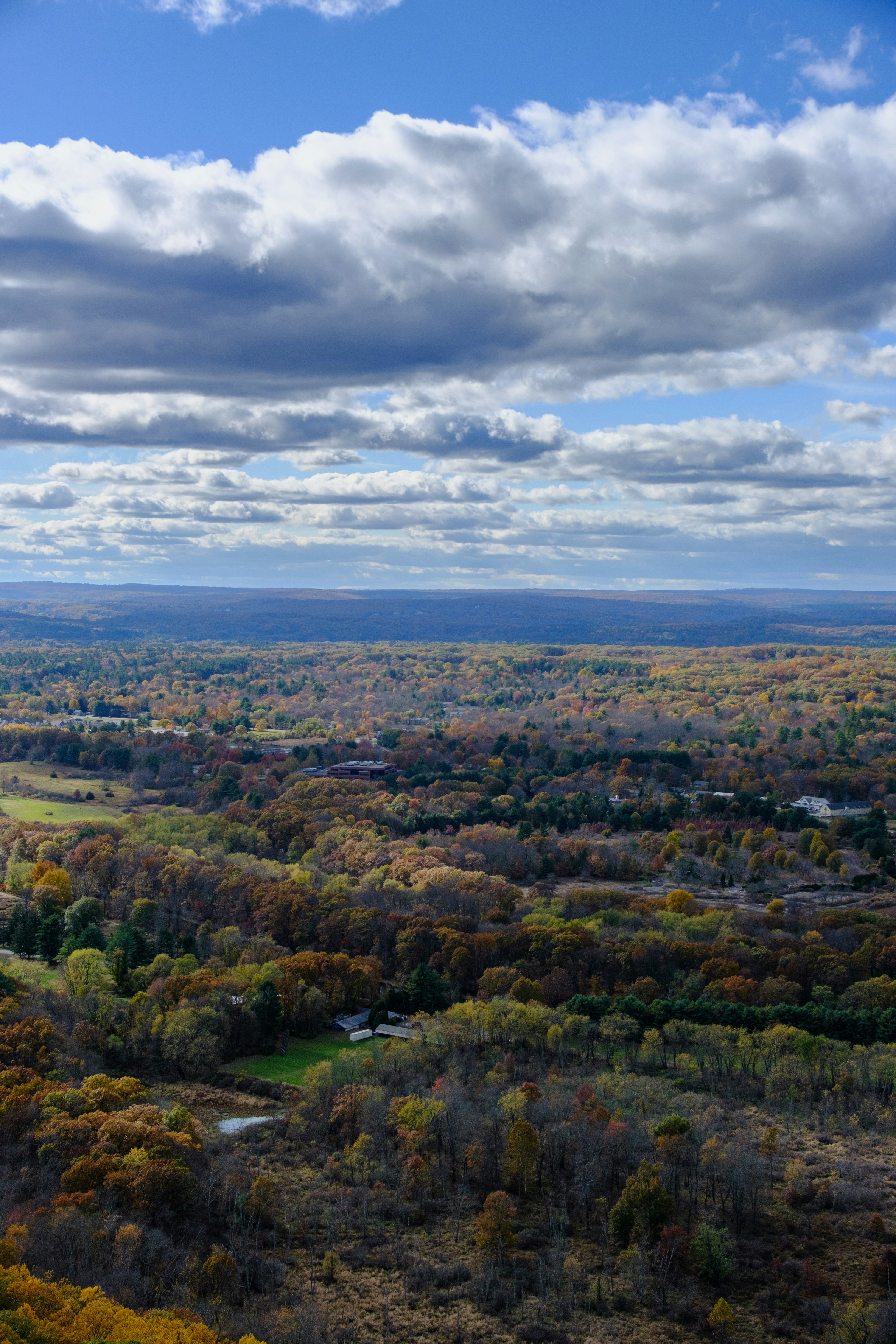 Autumn forest landscape under a cloudy blue sky.