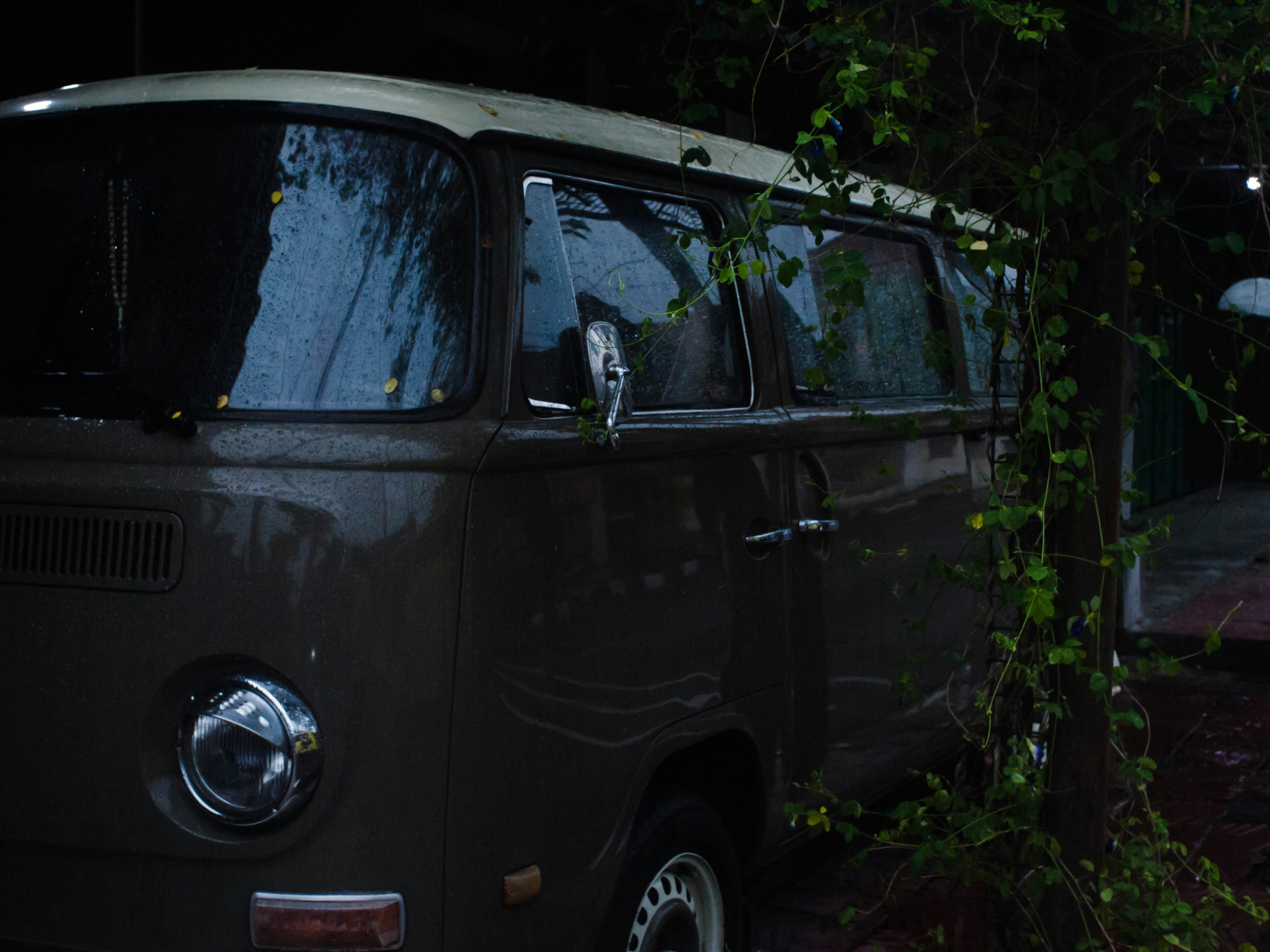Timeless Voyage: The Vintage Van Amidst Nature's Embrace