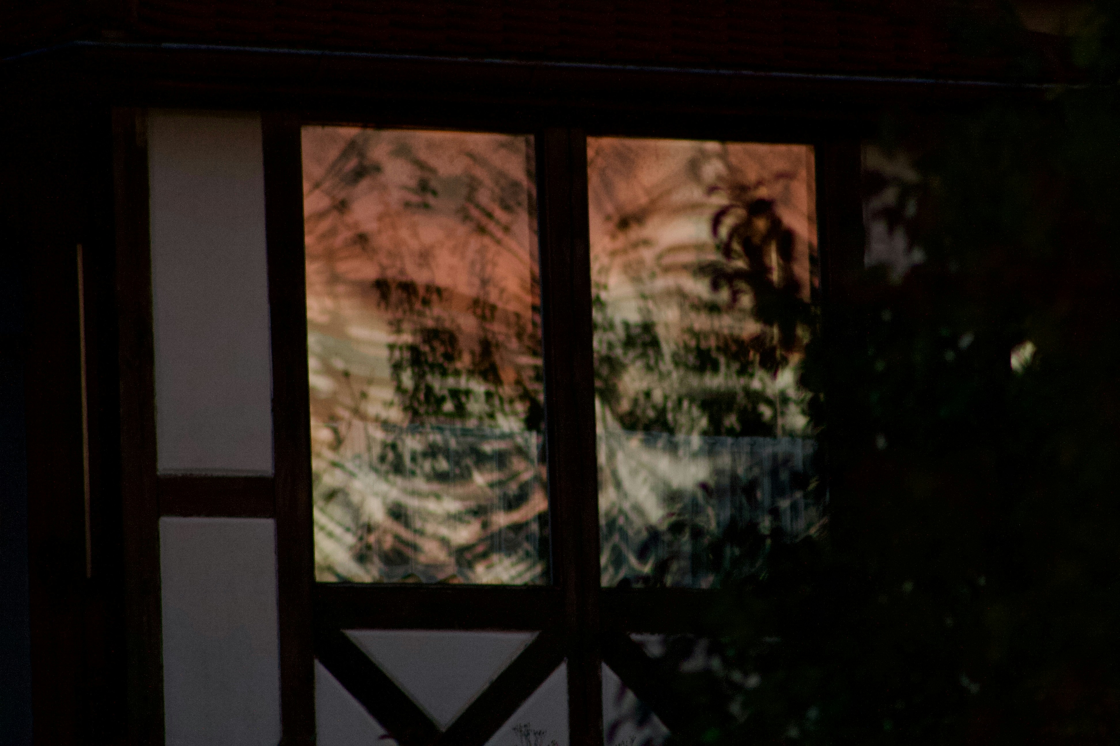 Abstract reflections of trees and colors captured in a window at twilight.