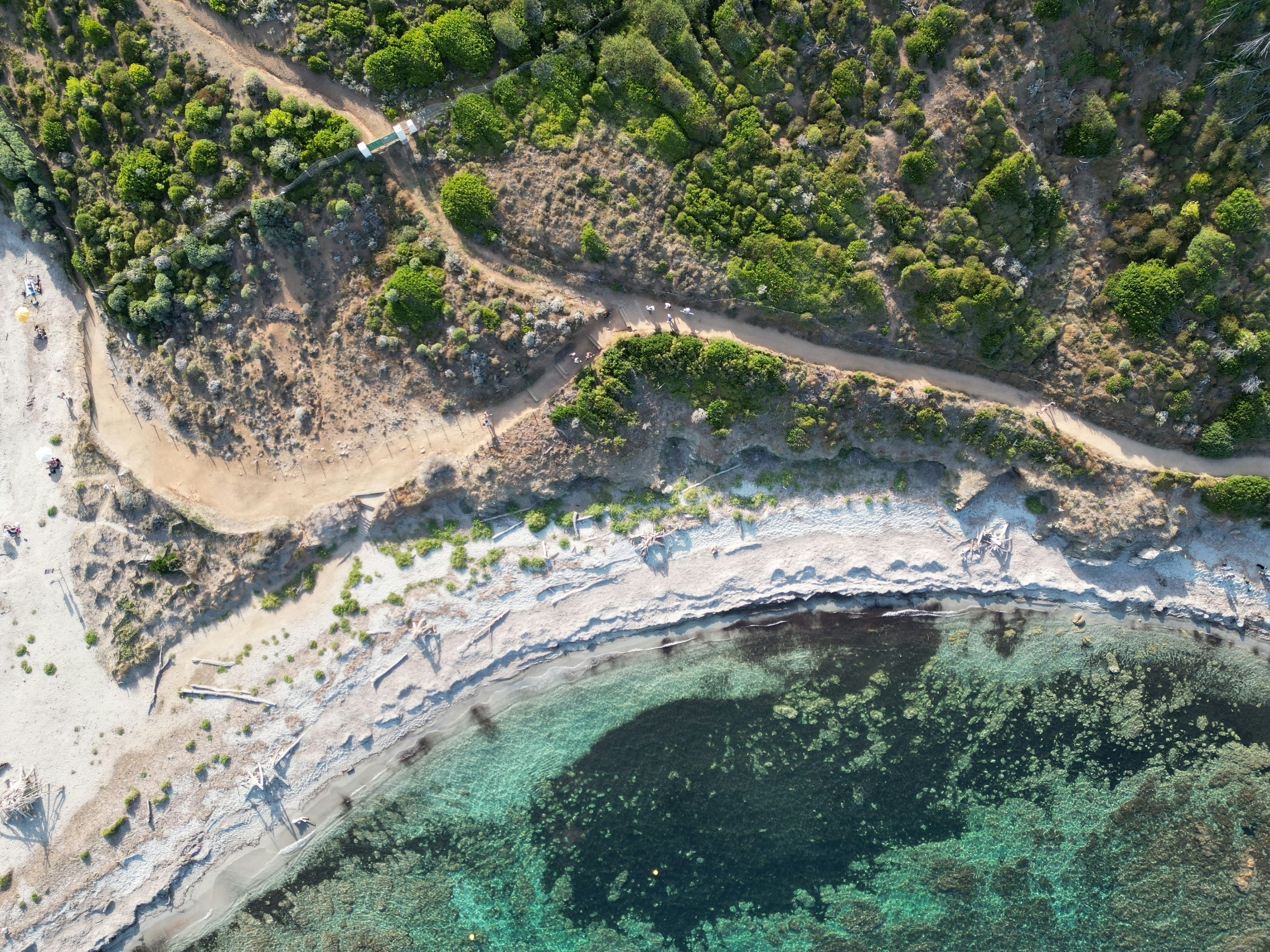 Aerial perspective showcasing a winding coastal path bordered by lush greenery and a vibrant shoreline meeting tranquil waters. 
