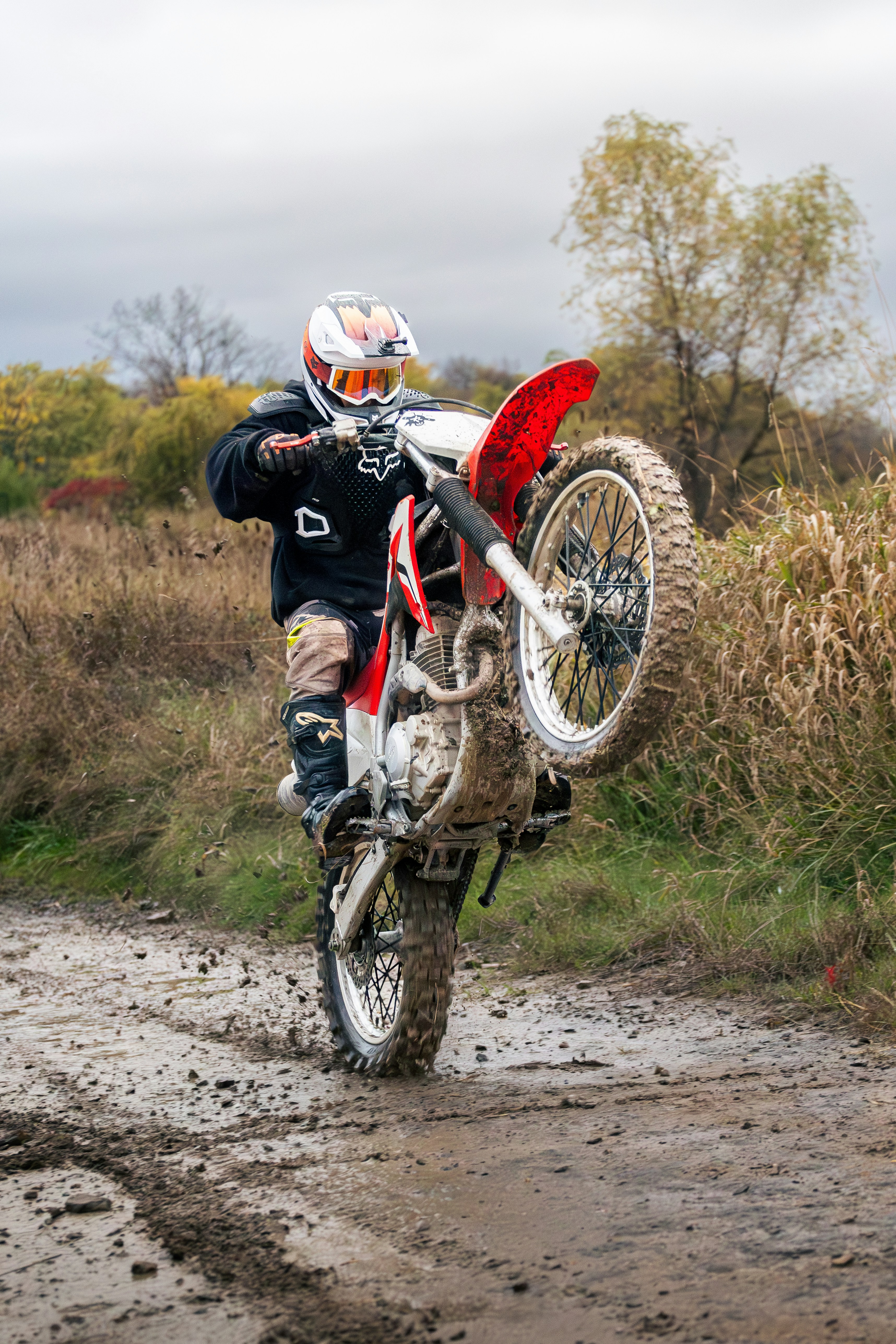 Defying Gravity: The Art of the Wheelie