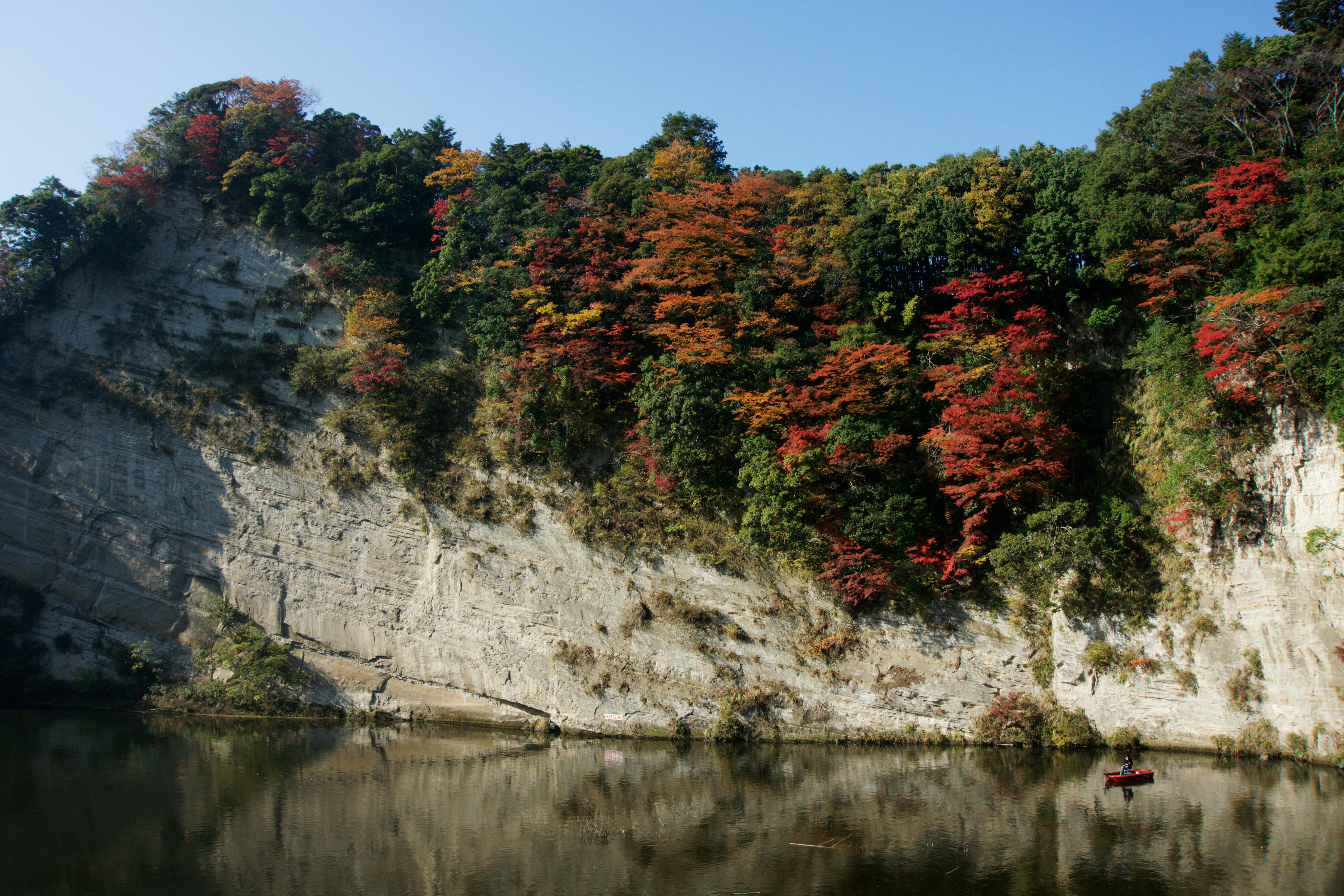 Autumn's Embrace: The Palette of Nature