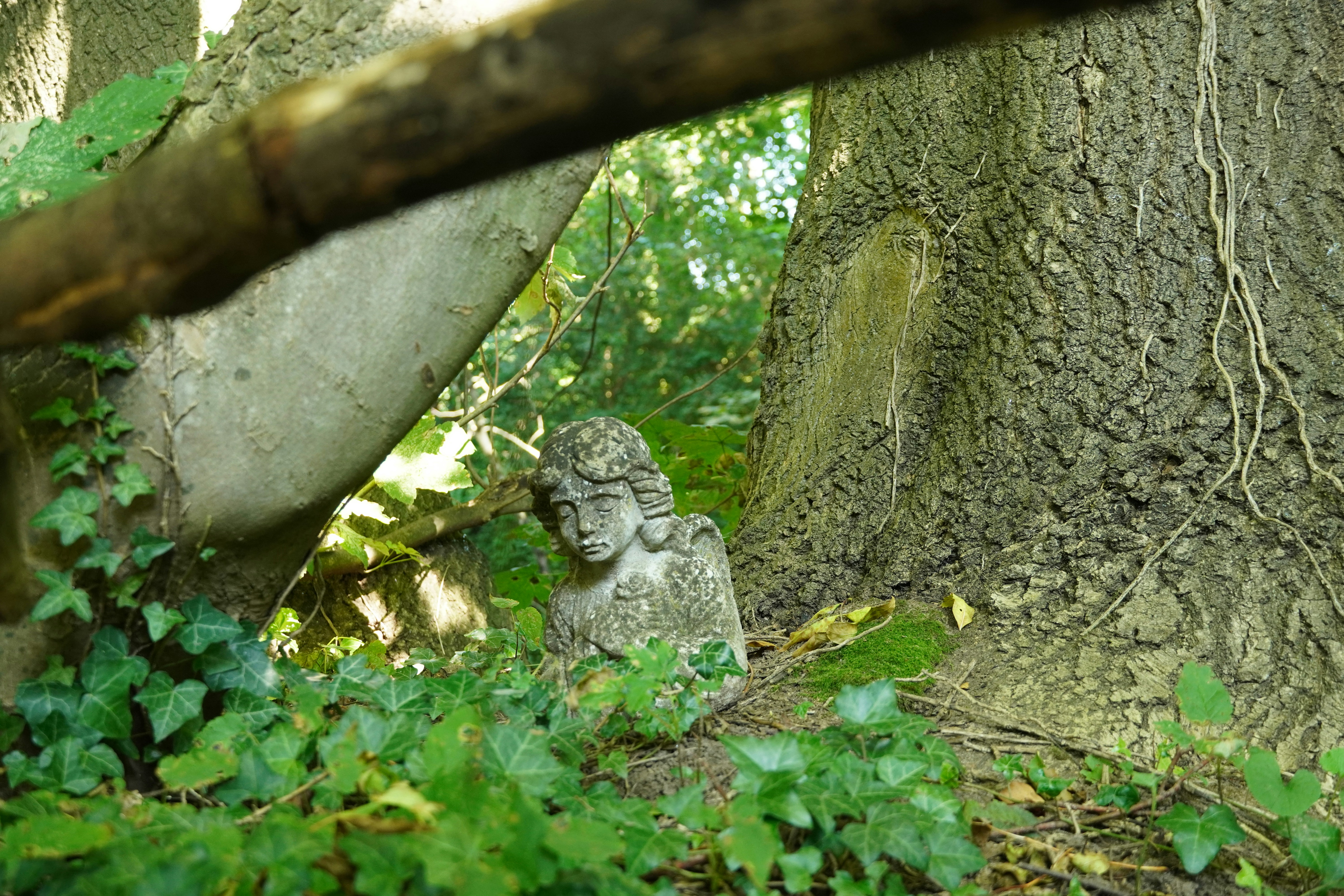Whispers of the Forgotten: A Stone Guardian in Nature's Embrace