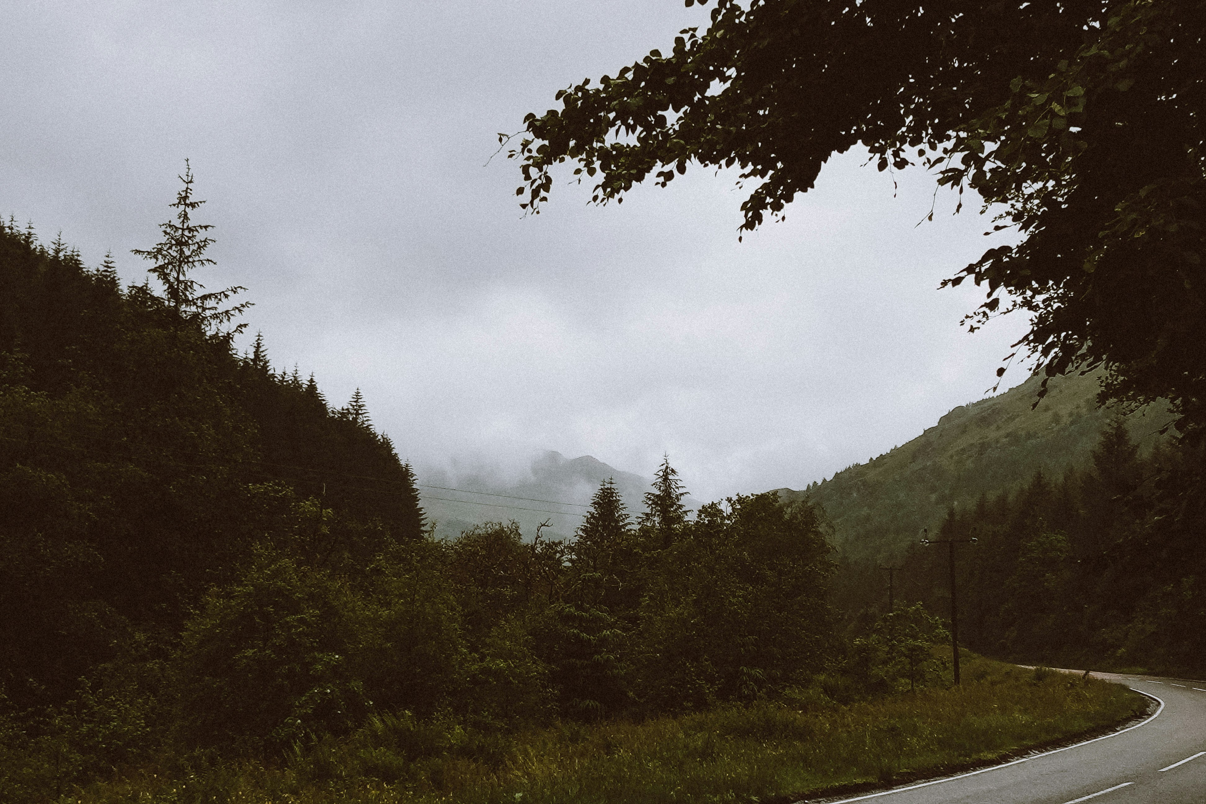 Winding road through a misty, forested mountain landscape.