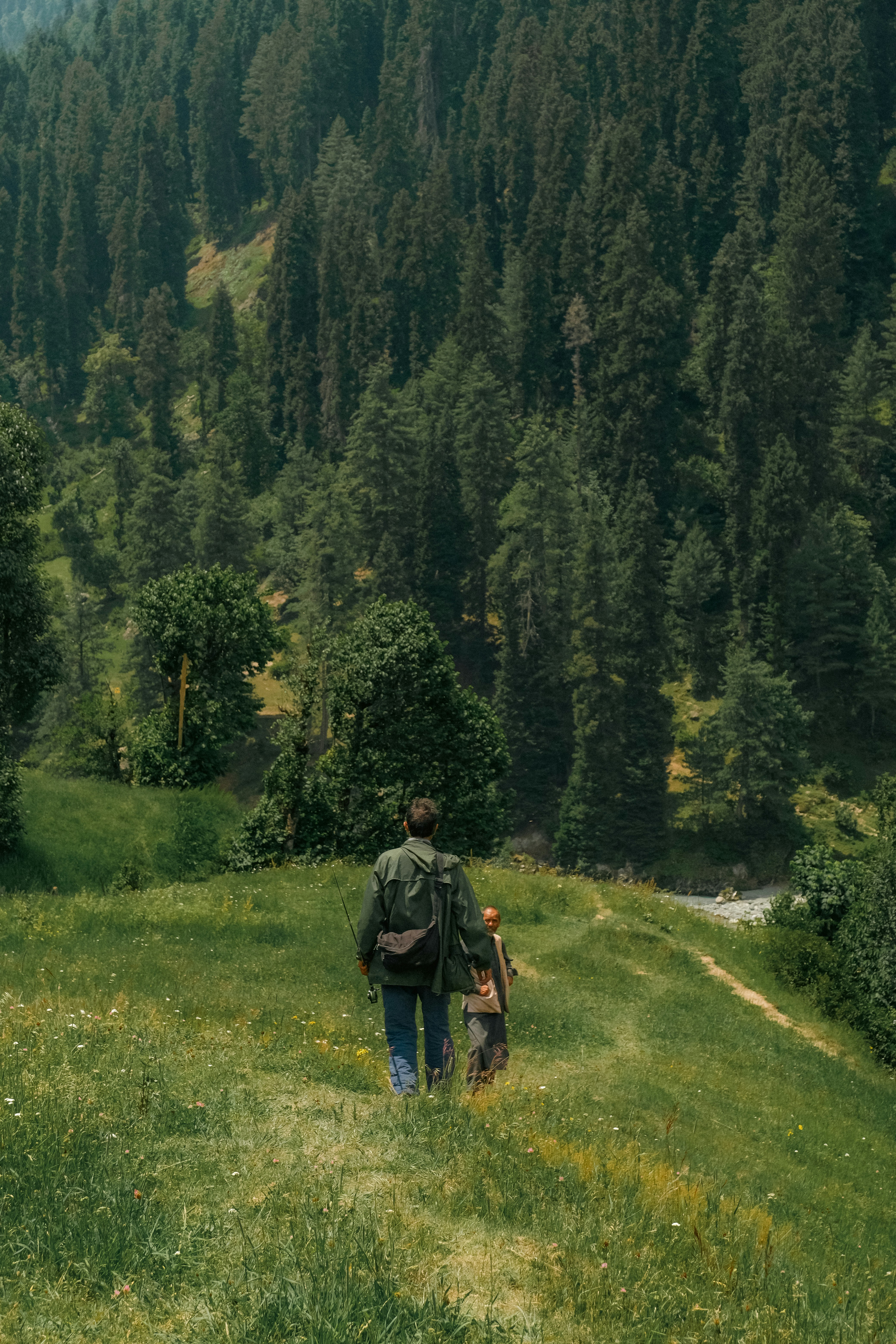 Two people walking through a grassy hillside forest