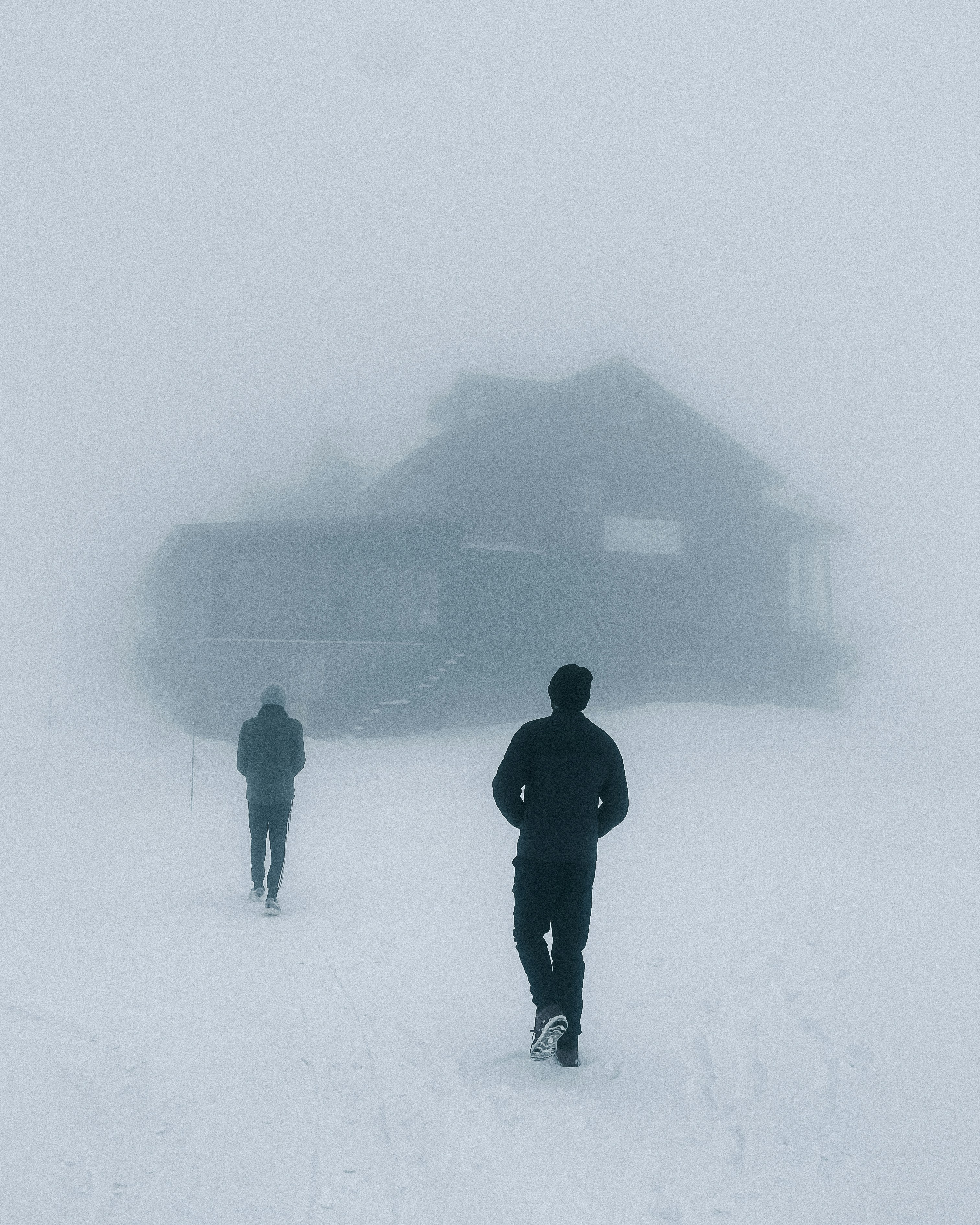 Journey Through the Veil of Fog