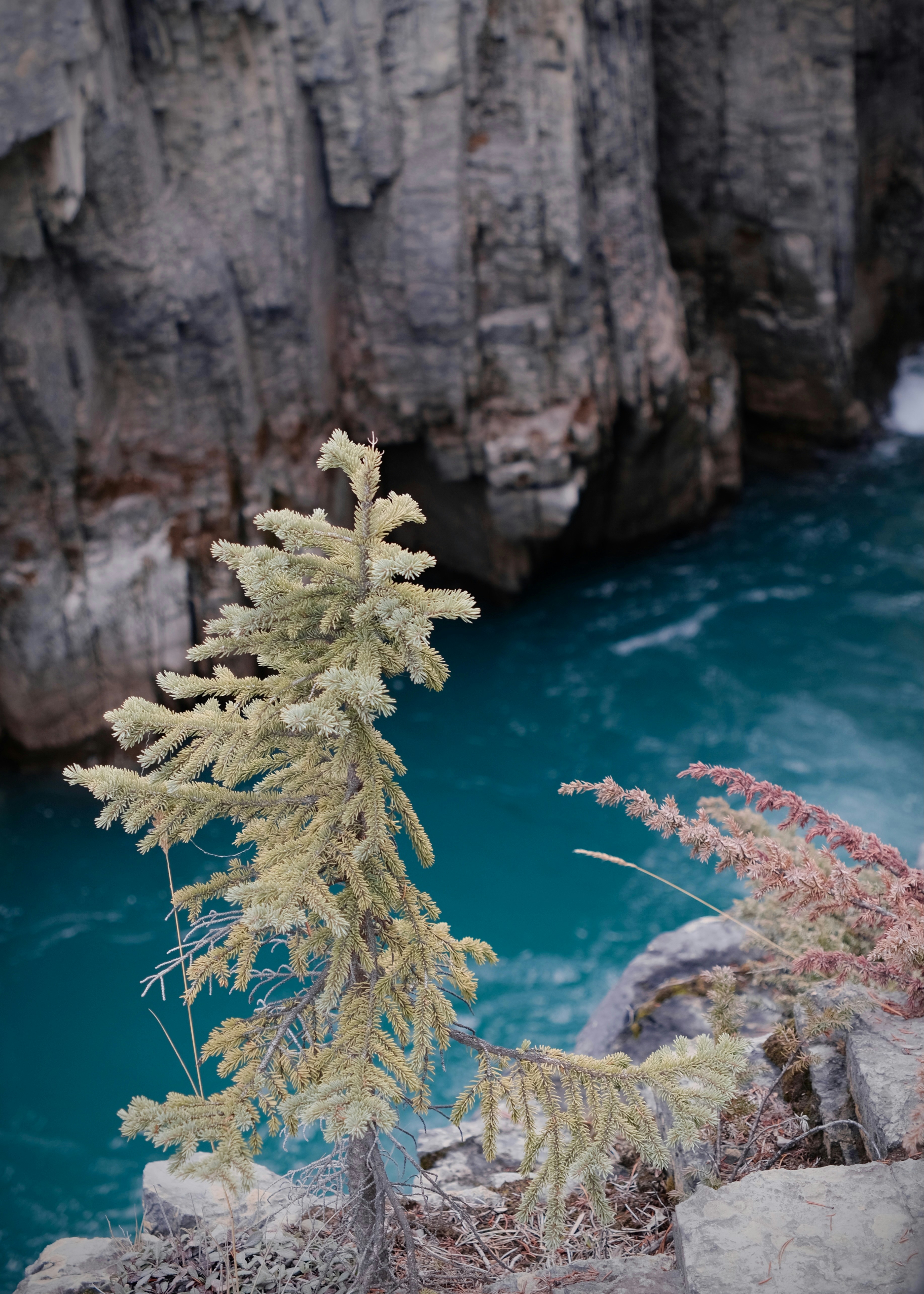 Emerald Waters Embrace Rocky Cliffs