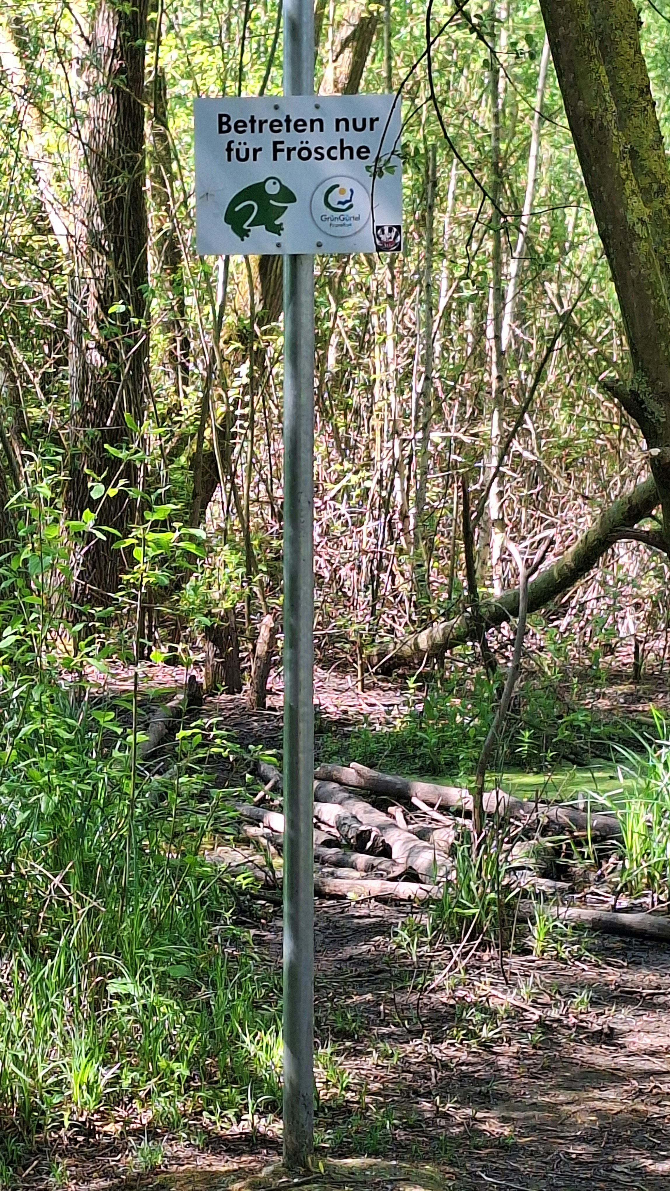 The sign says: Entry only for frogs Sony Alpa 6400 | Sign in forest says 'entry only for frogs'