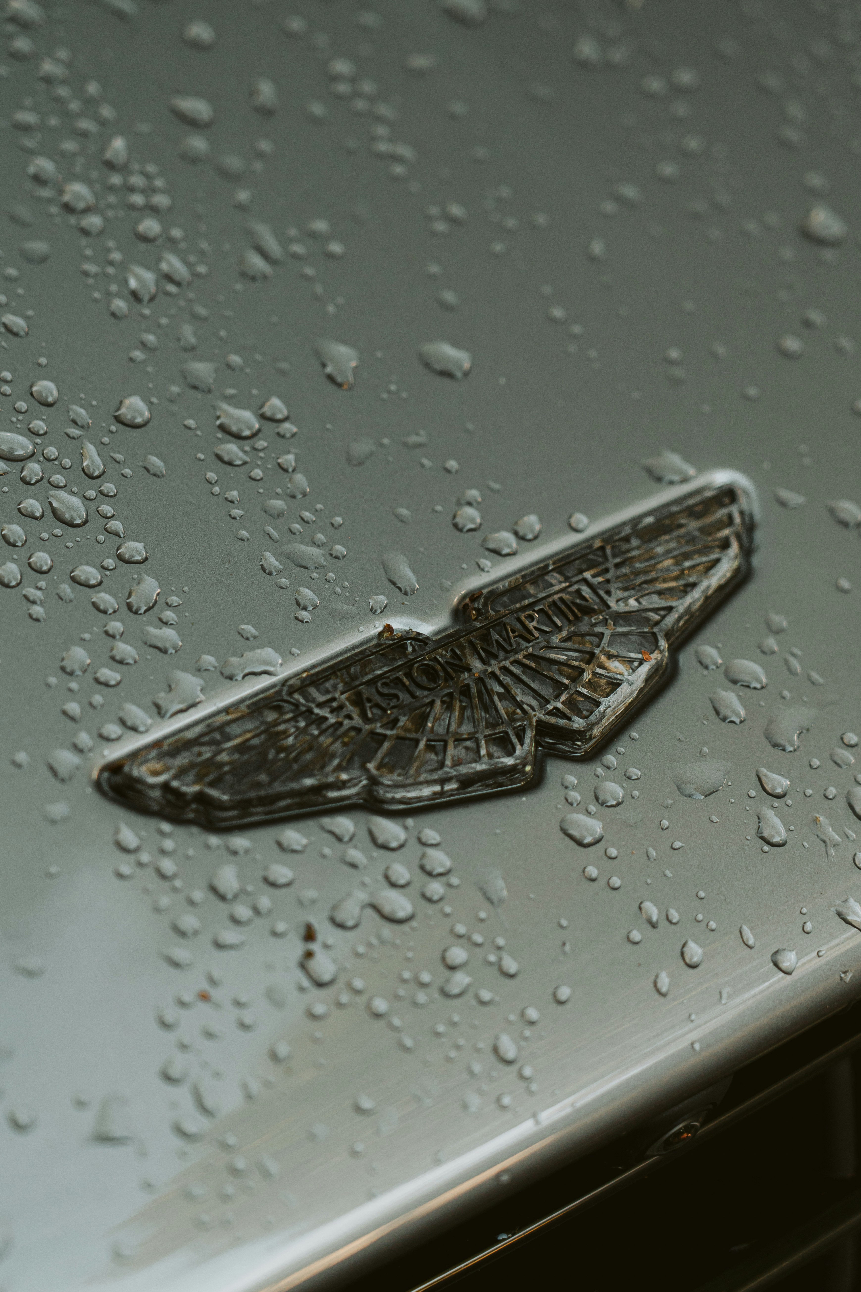 Elegance in the Rain: The Aston Martin Emblem