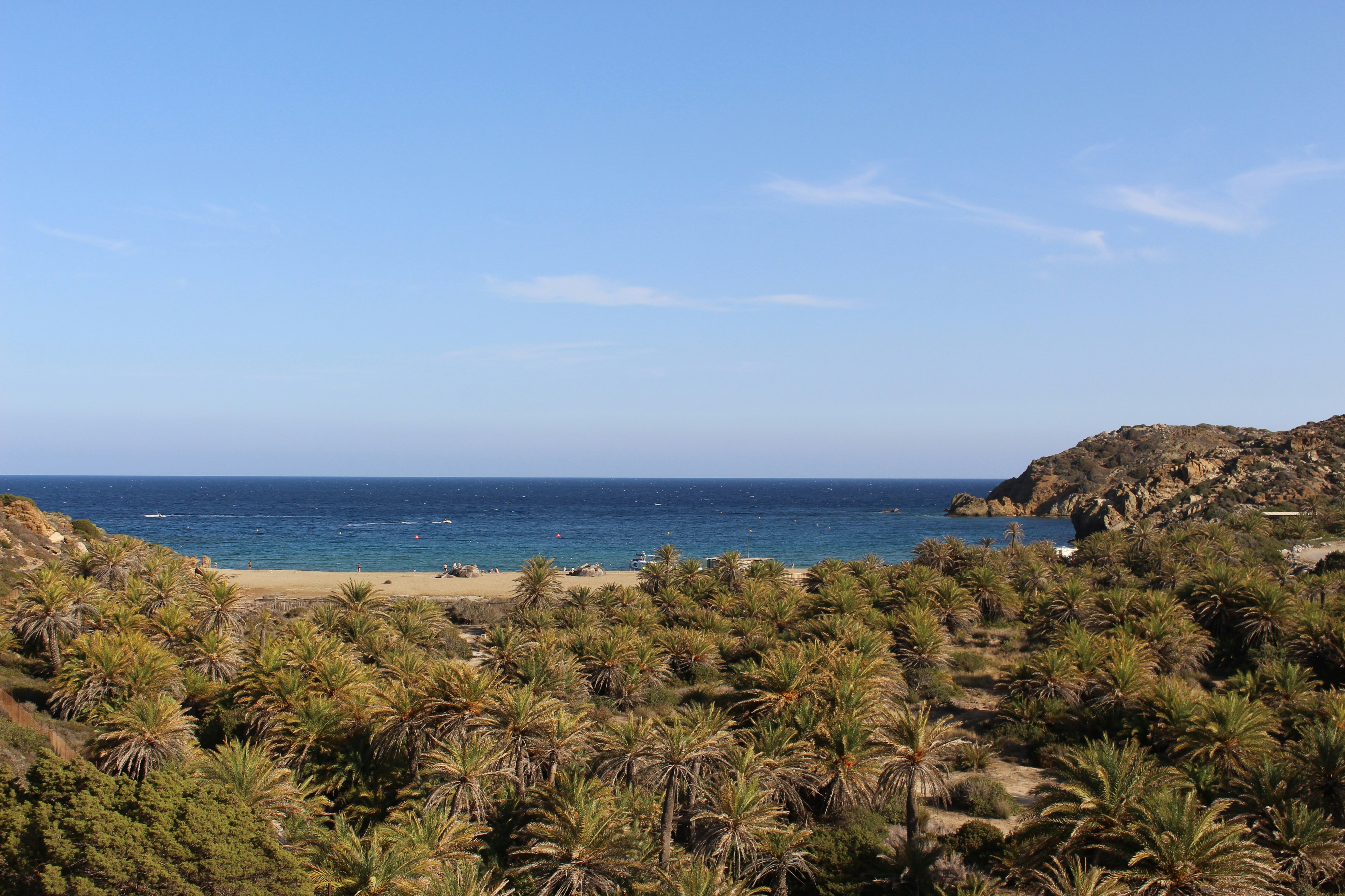 Tropical beach with palm trees and blue ocean