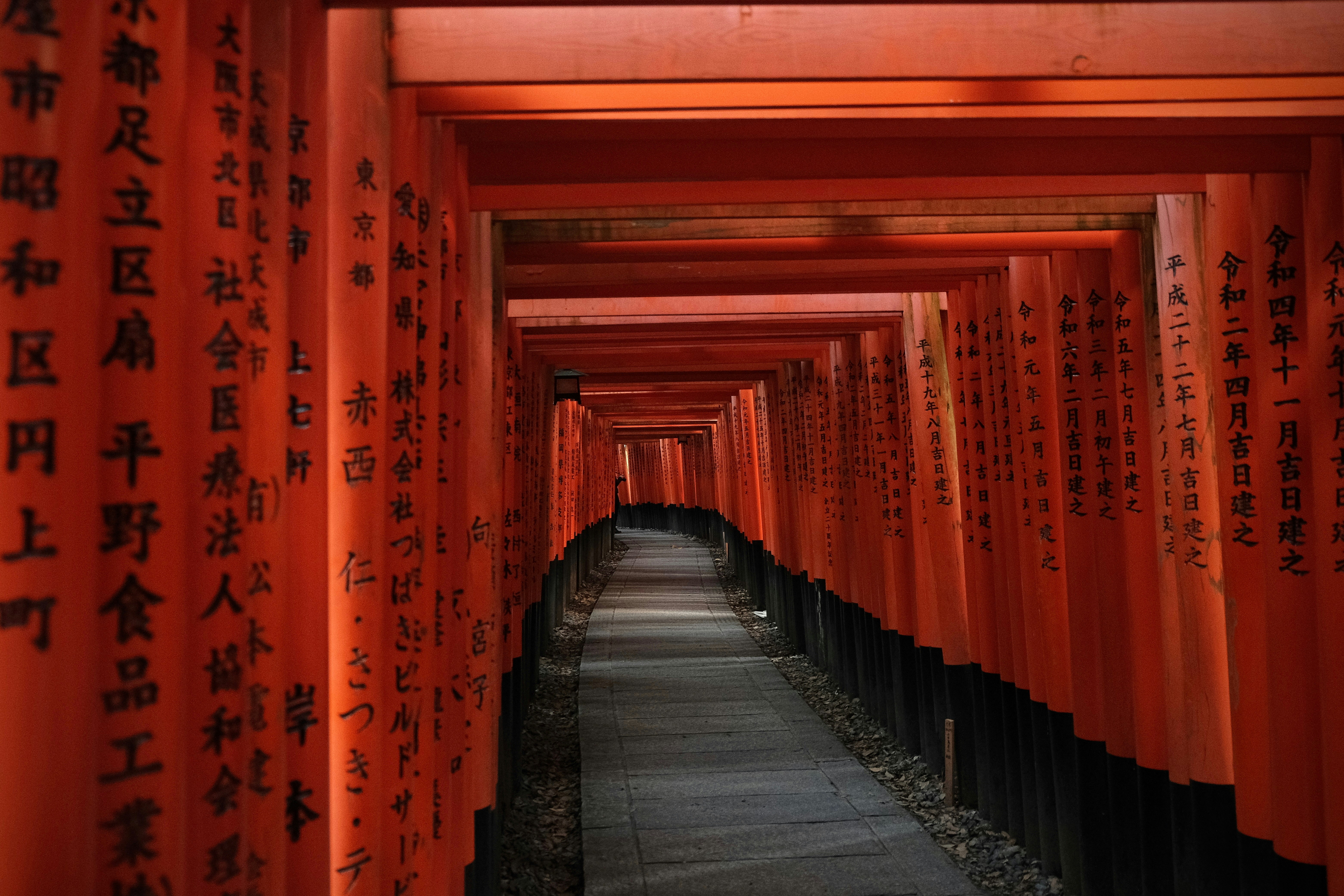 Path through endless orange torii gates in japan.