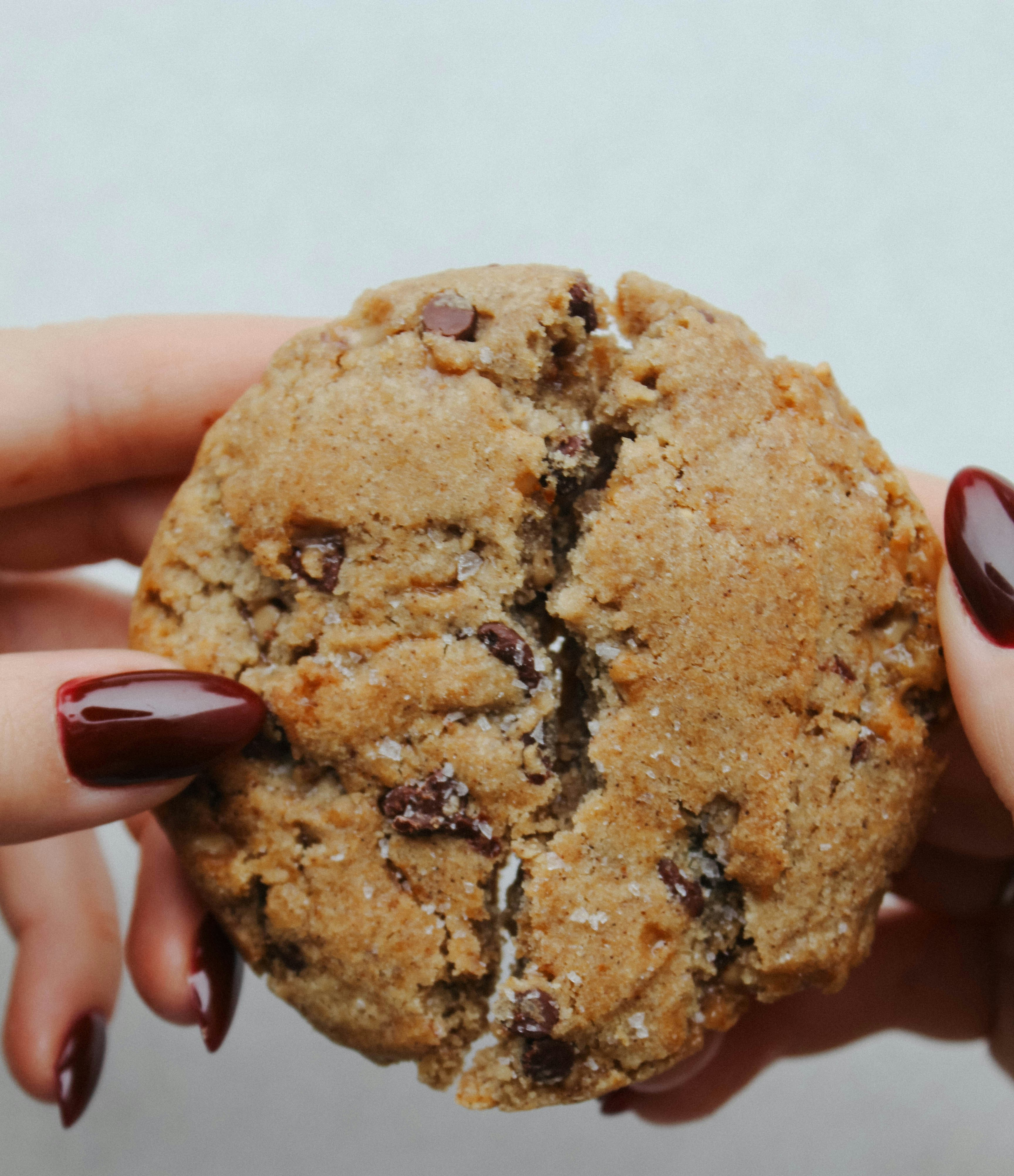 Hands holding a chocolate chip cookie