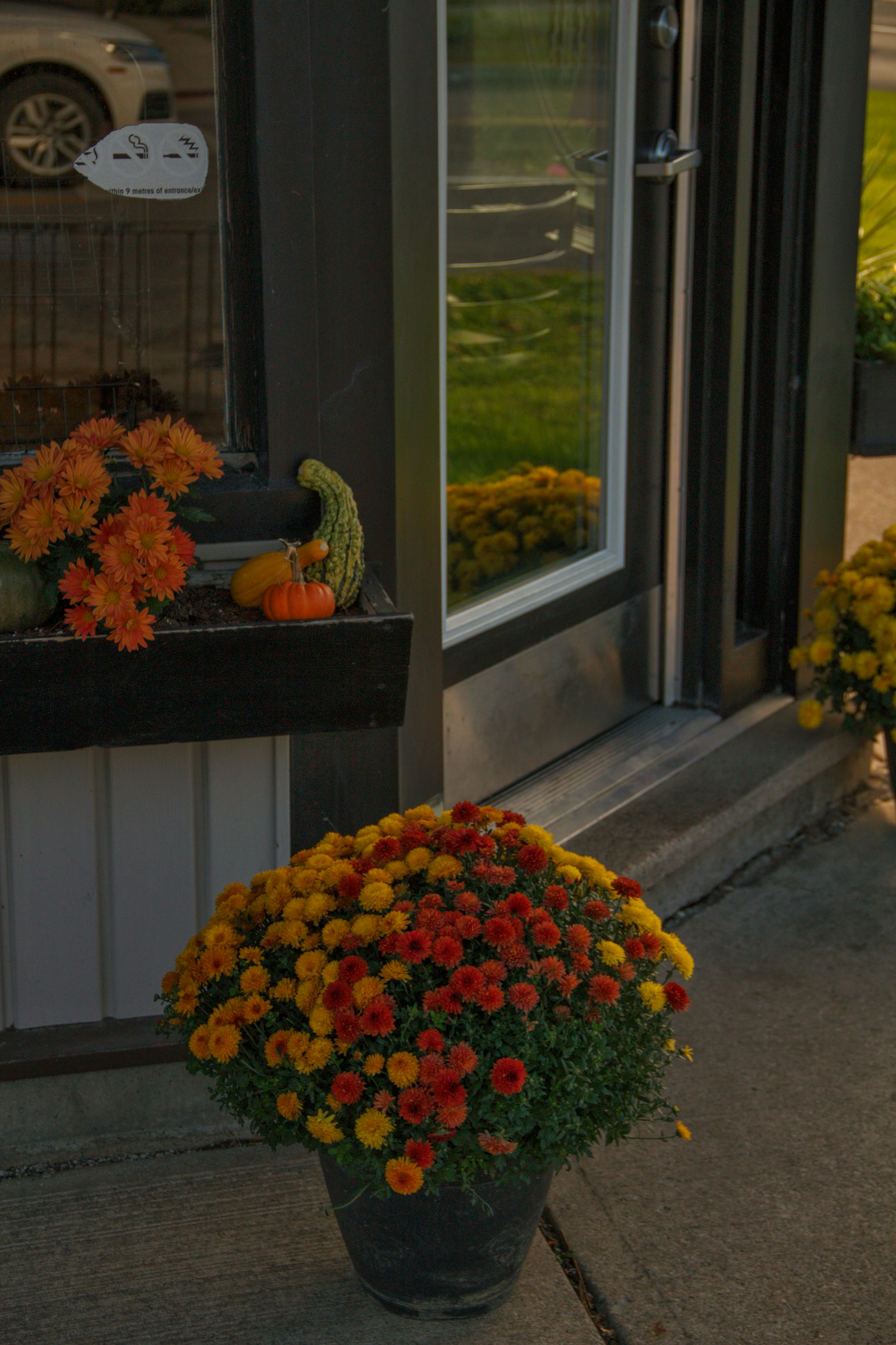 Autumn's Floral Embrace at the Doorstep