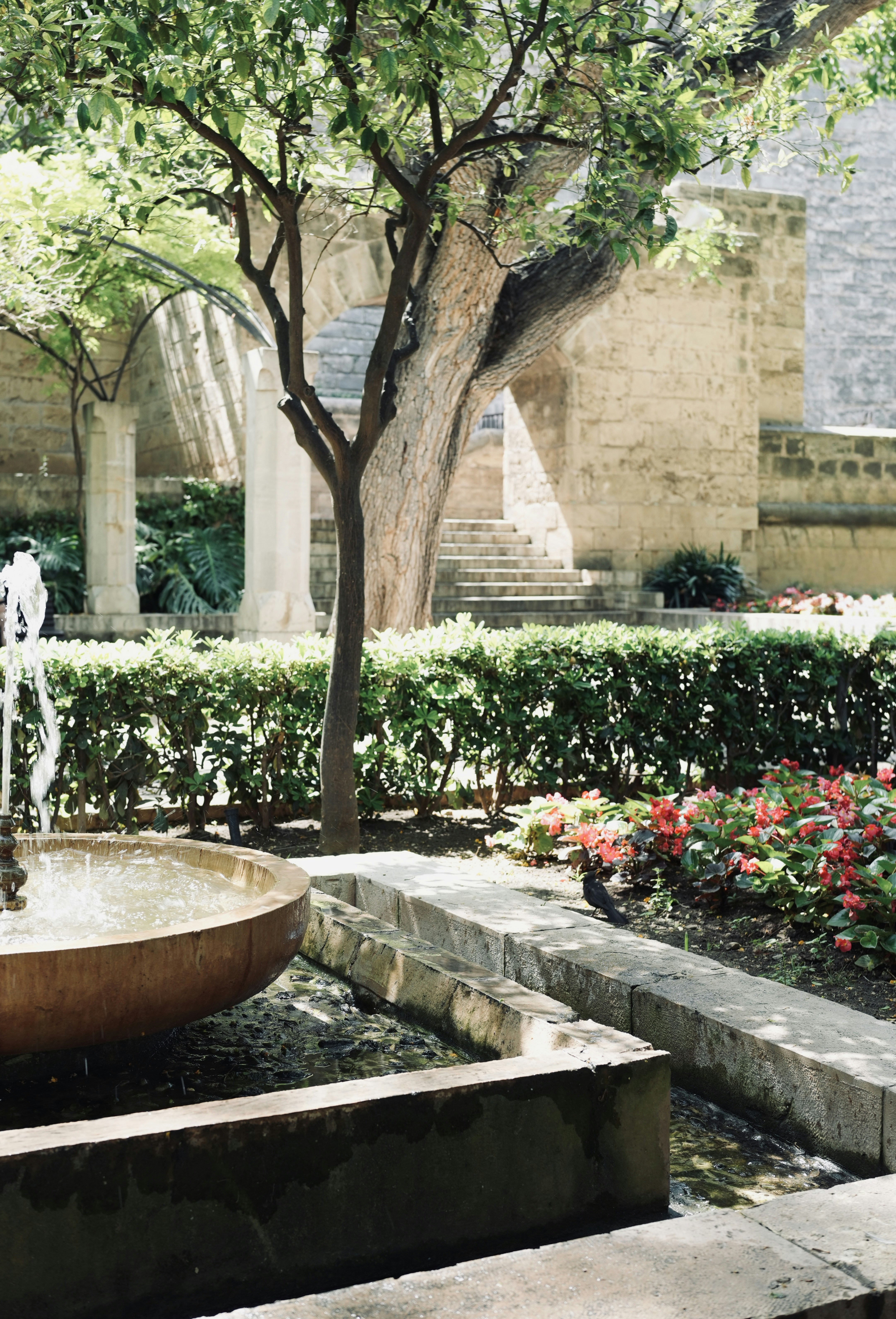 Courtyard with fountain, trees, and stone architecture