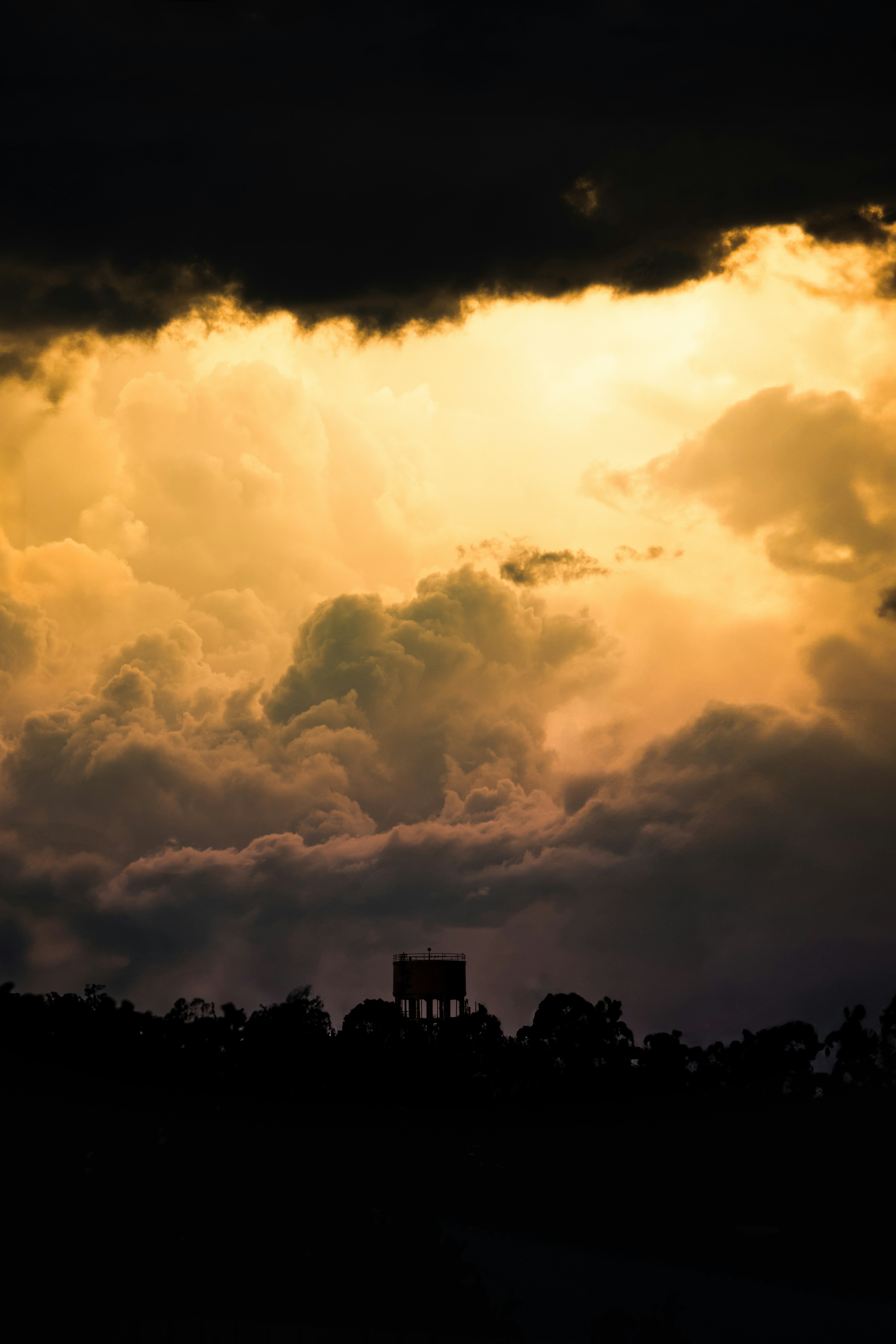 Silhouette Against a Fiery Horizon