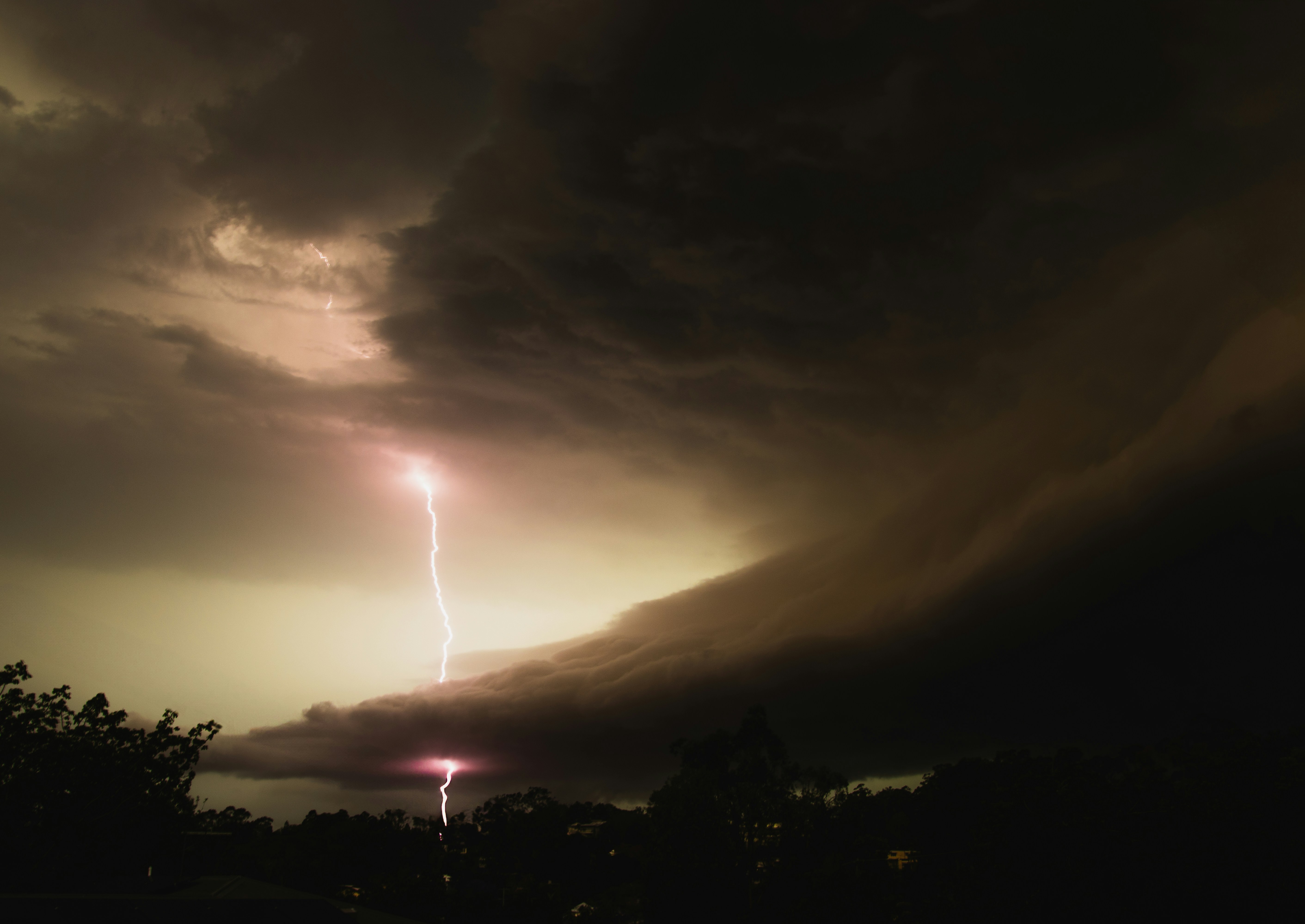 Lightning Slice Through a Storm-Sculpted Sky Over Silhouetted Trees