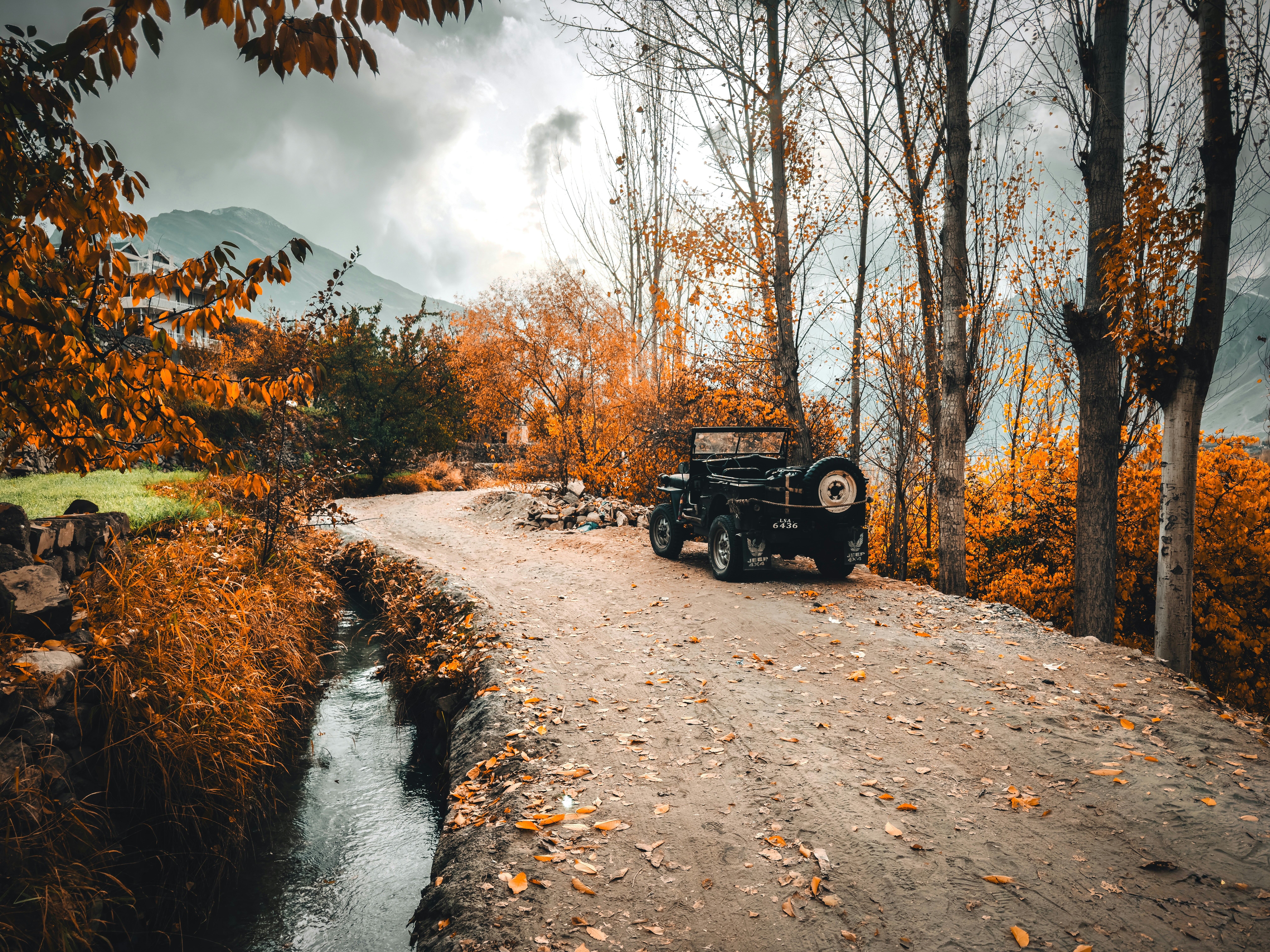 Autumn's Embrace on a Winding Path