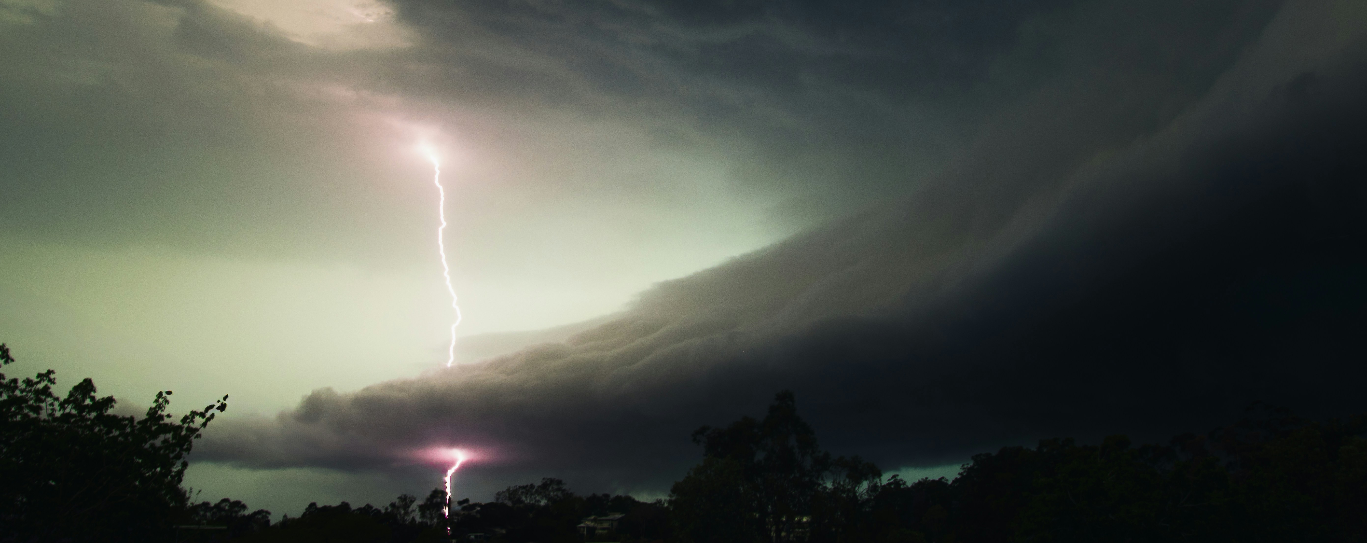 Electric Veins of the Storm
