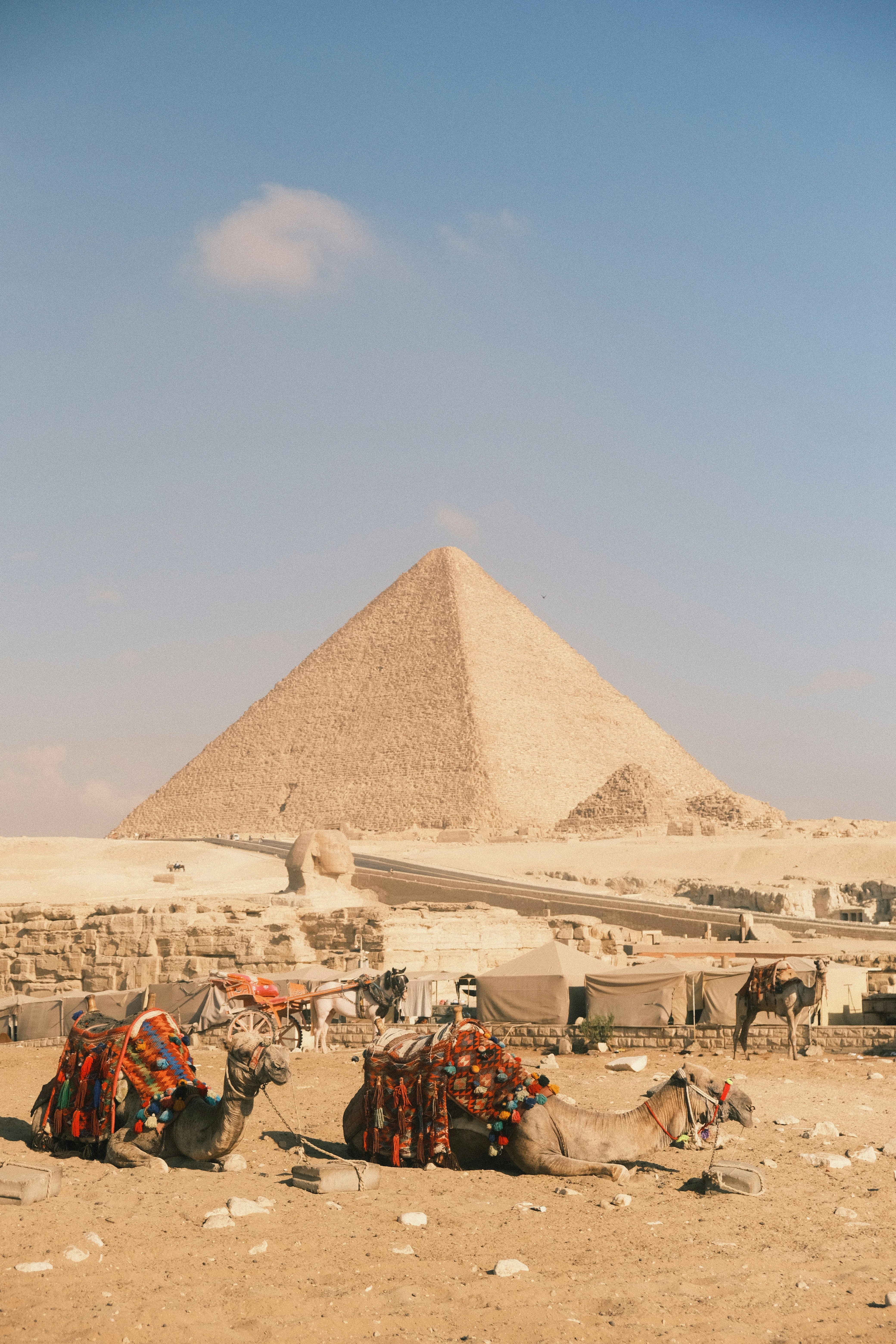Echoes of Ancient Majesty