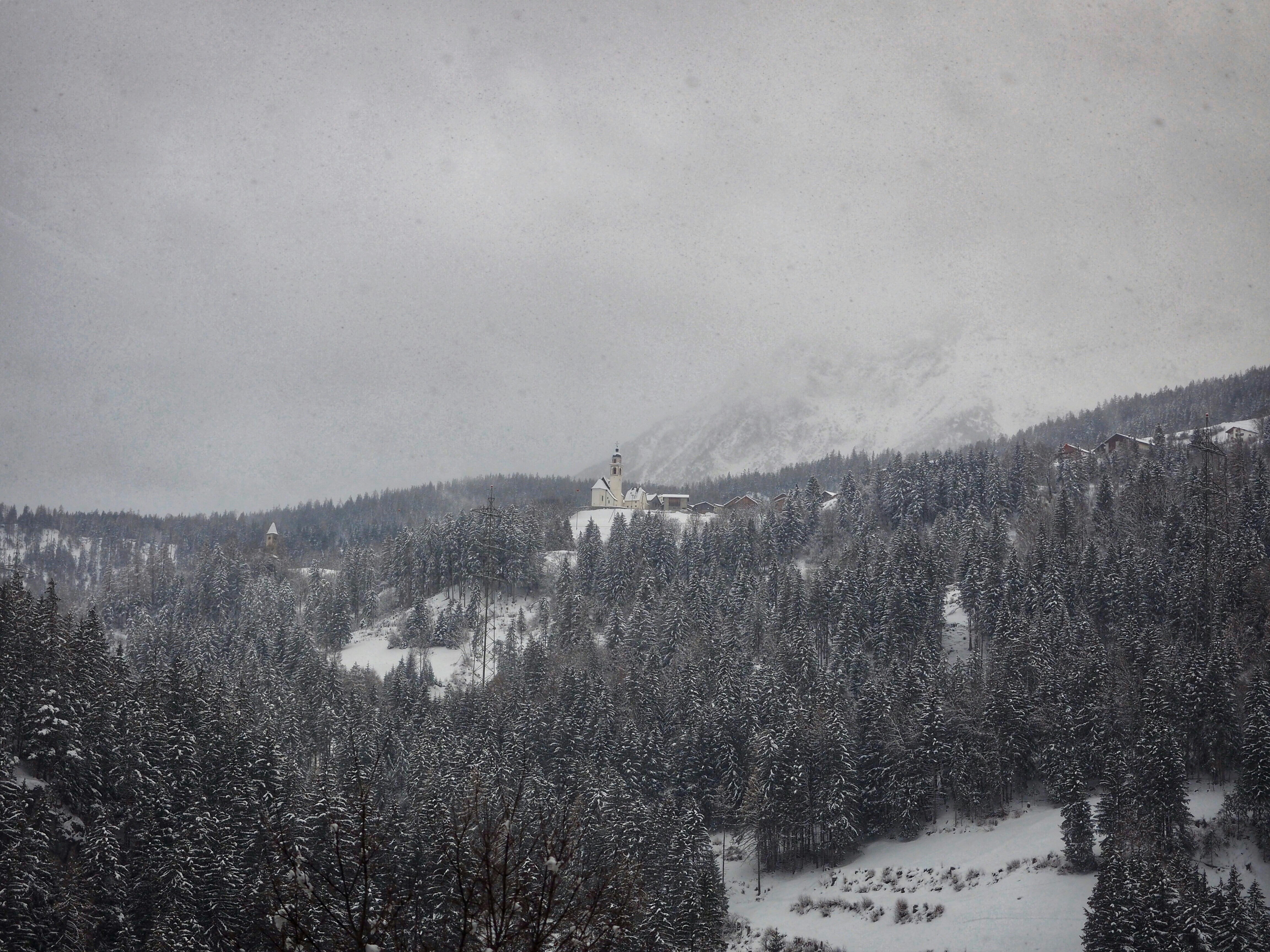 Whispers of Winter: A Serene Alpine Retreat