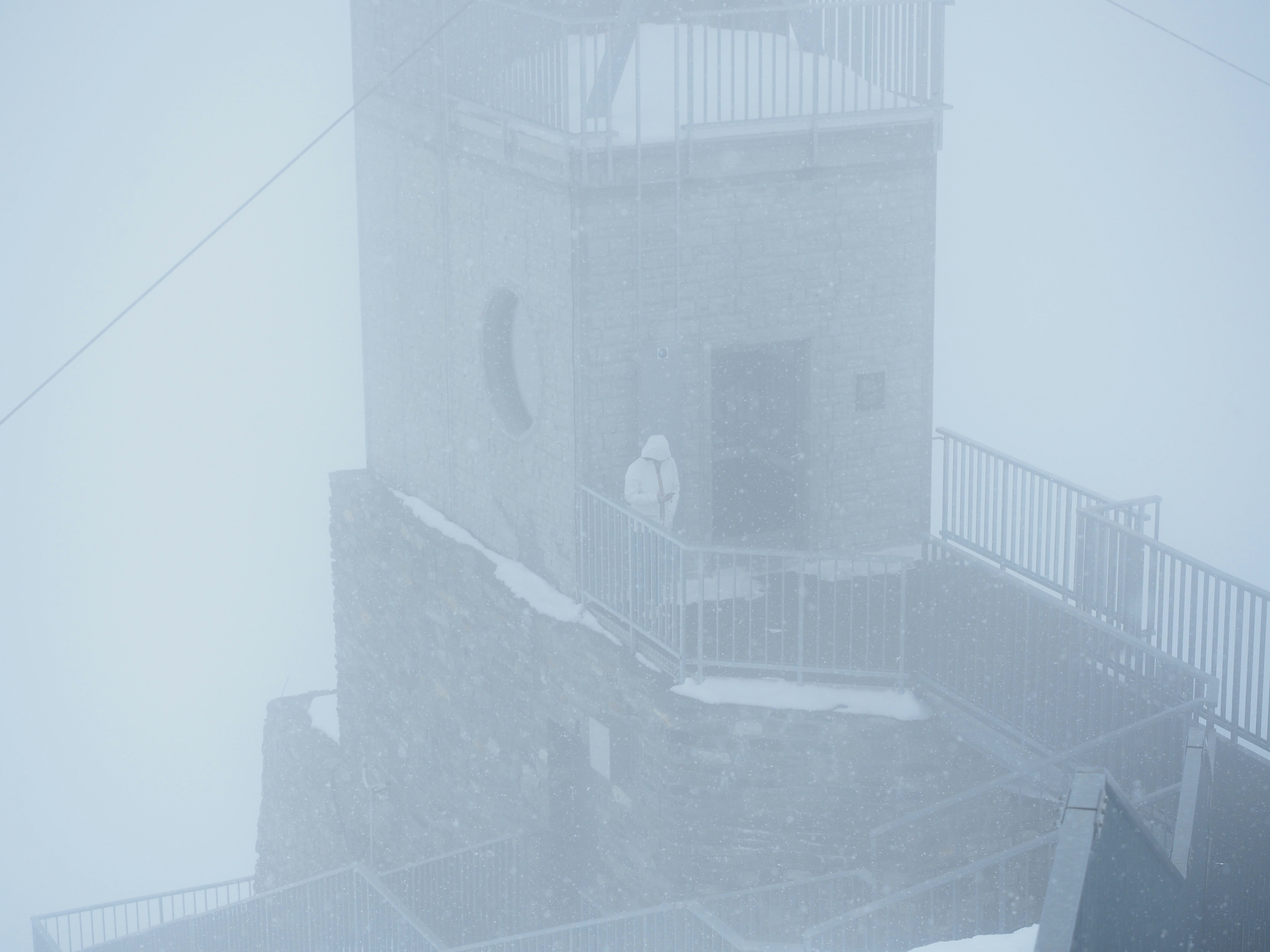 Solitude in the Snow: A Sentinel of the Summit