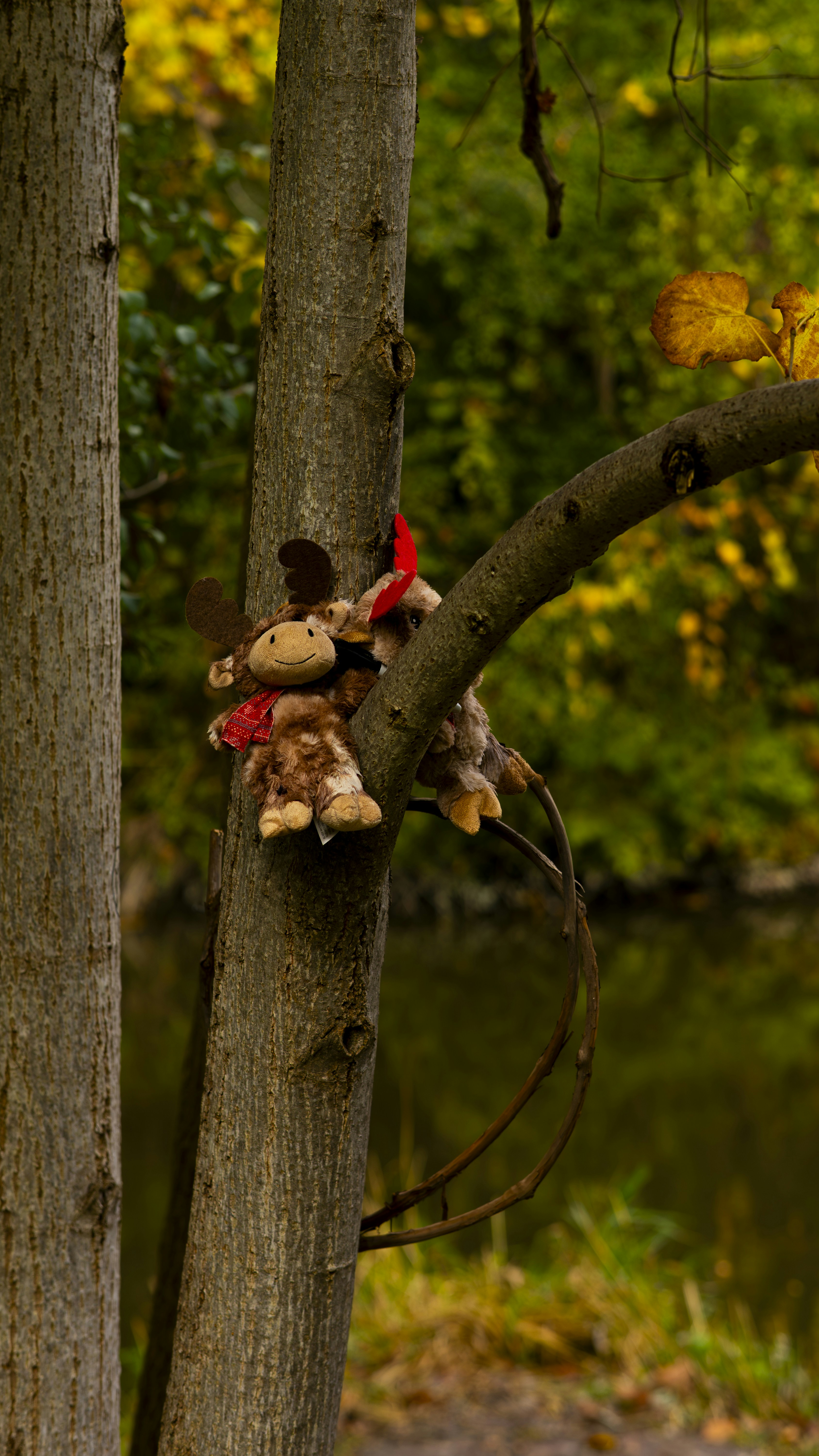 Whimsical Forest Friends: A Plush Encounter
