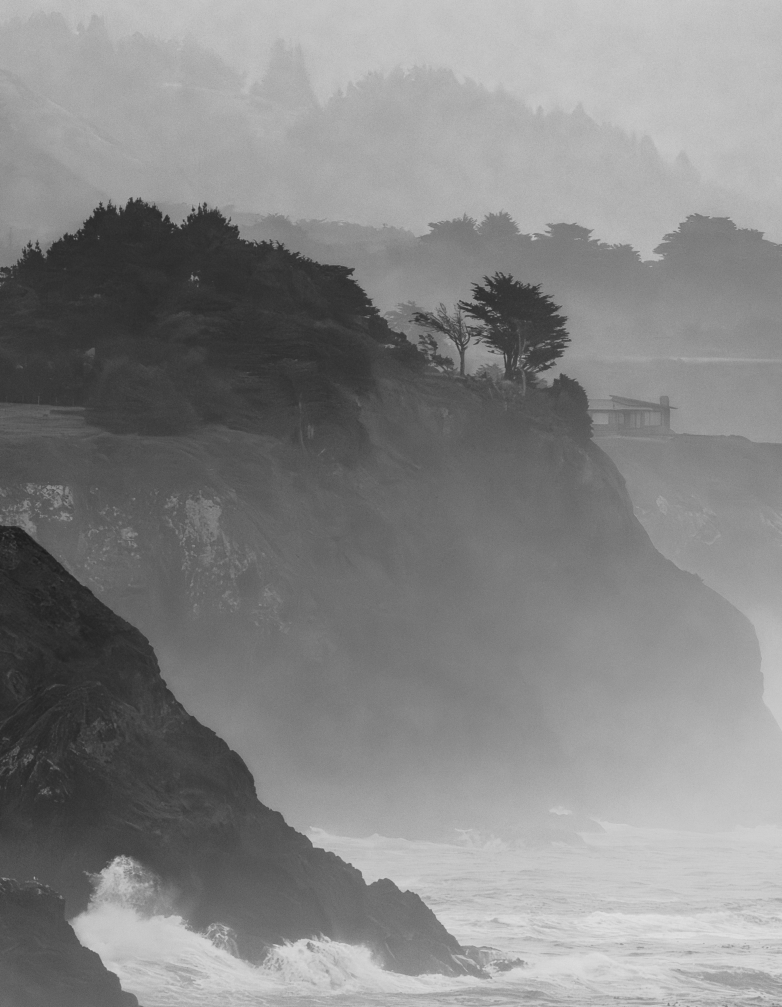 Whispers of the Foggy Coastline