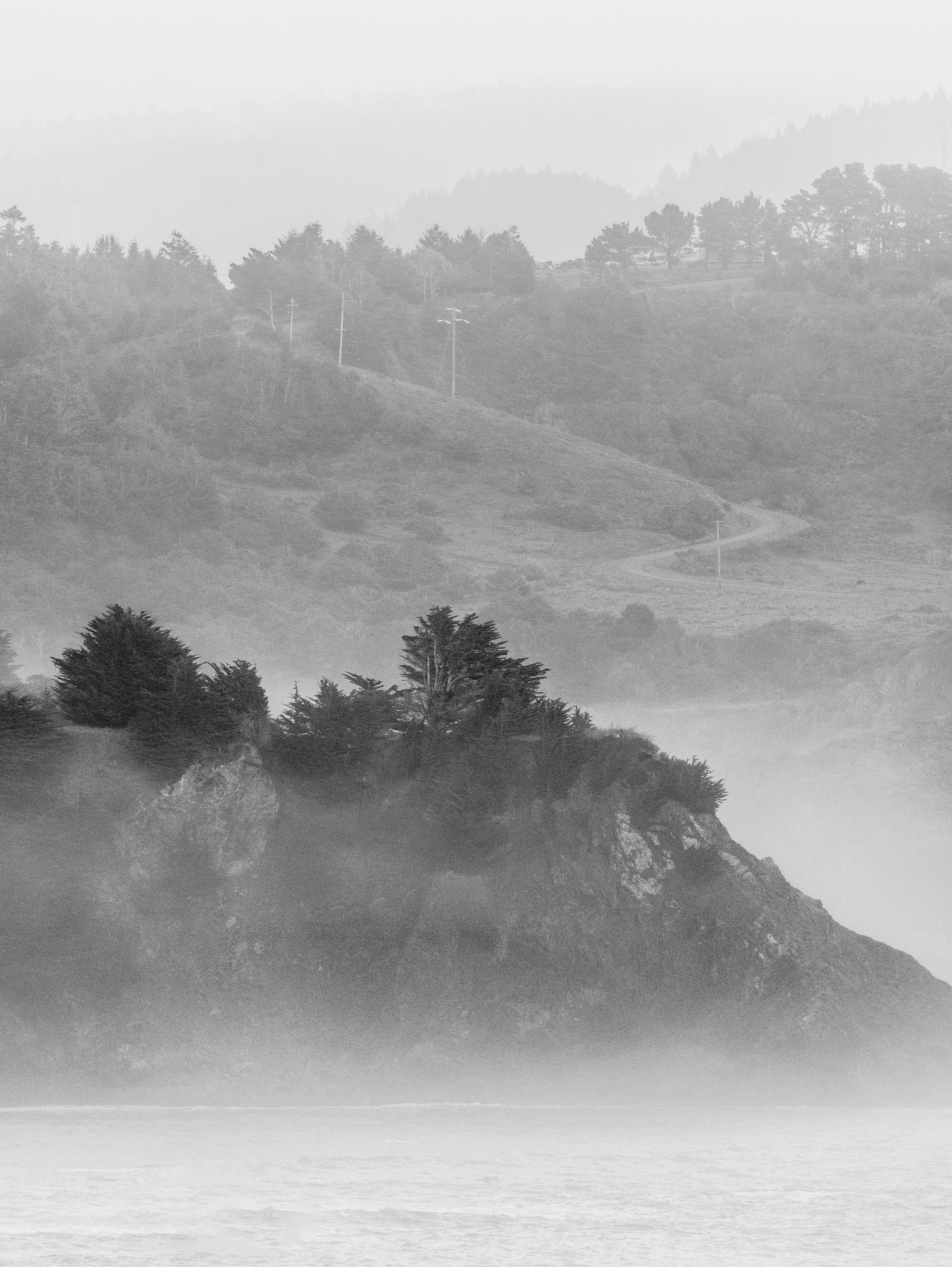 Whispers of the Fog: A Coastal Reverie