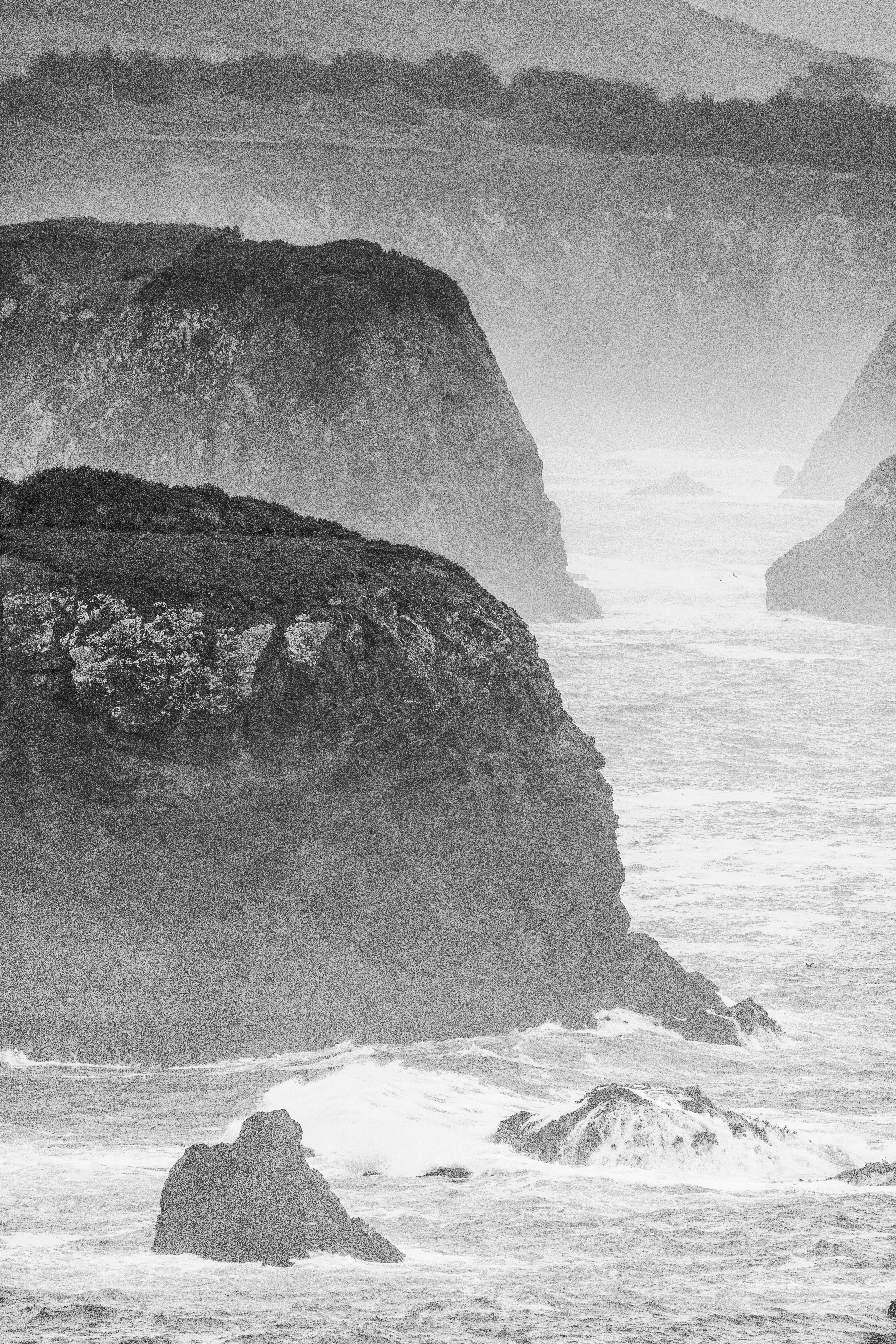 Whispers of the Ocean: A Monochrome Landscape