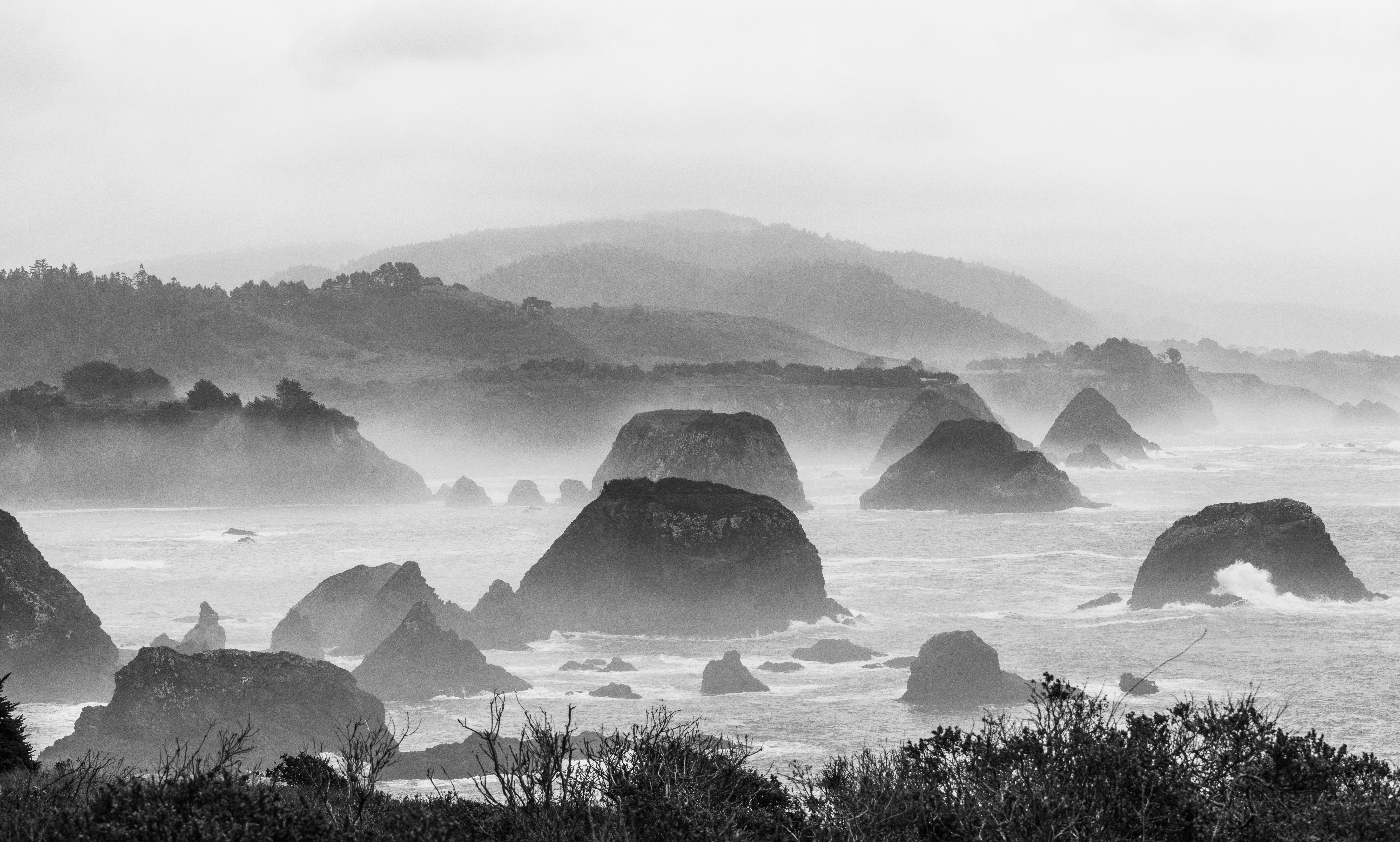 Whispers of the Ocean: A Monochrome Symphony