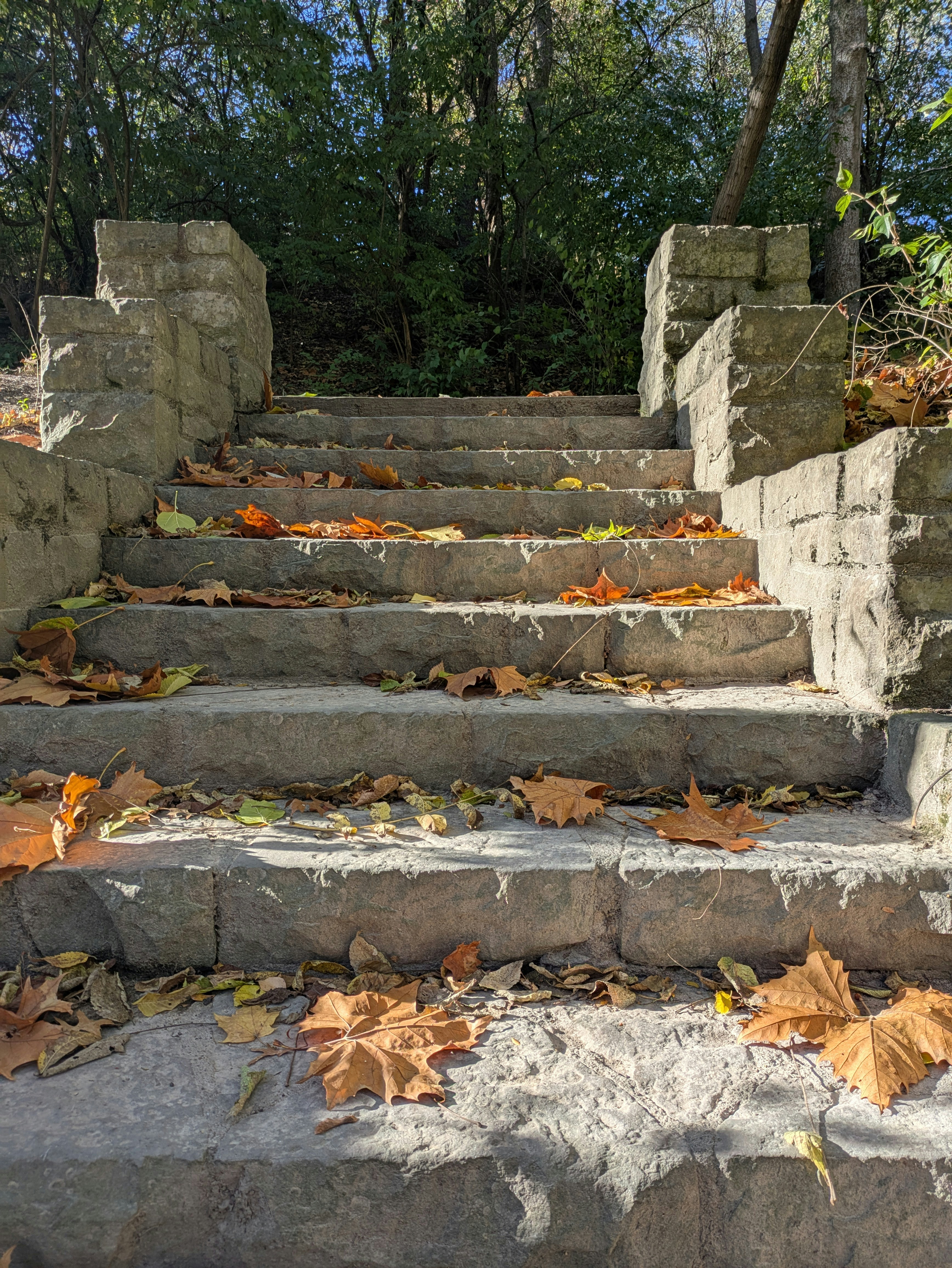 Stone steps covered in fallen autumn leaves
