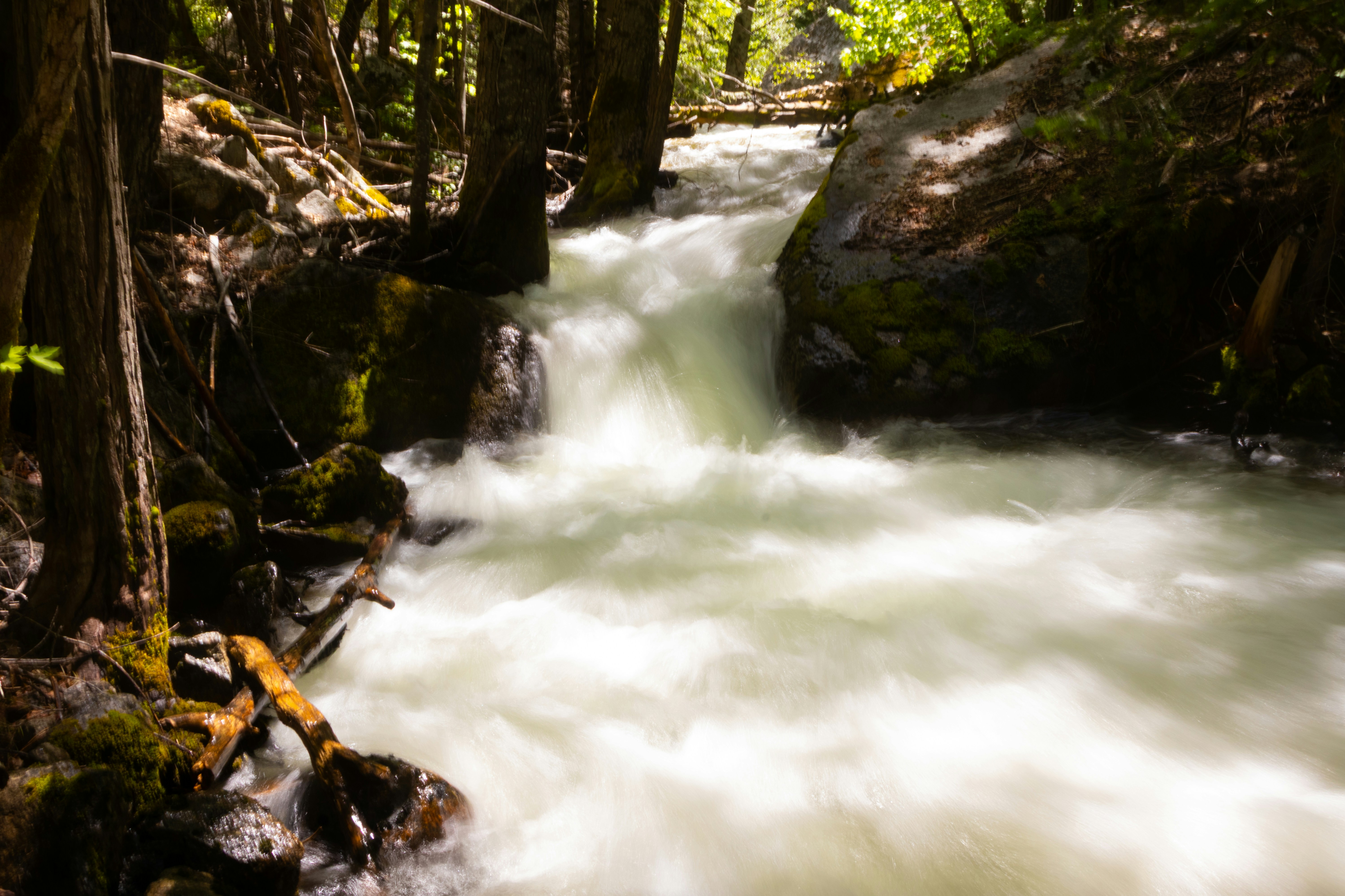 Whispers of the Cascading Stream