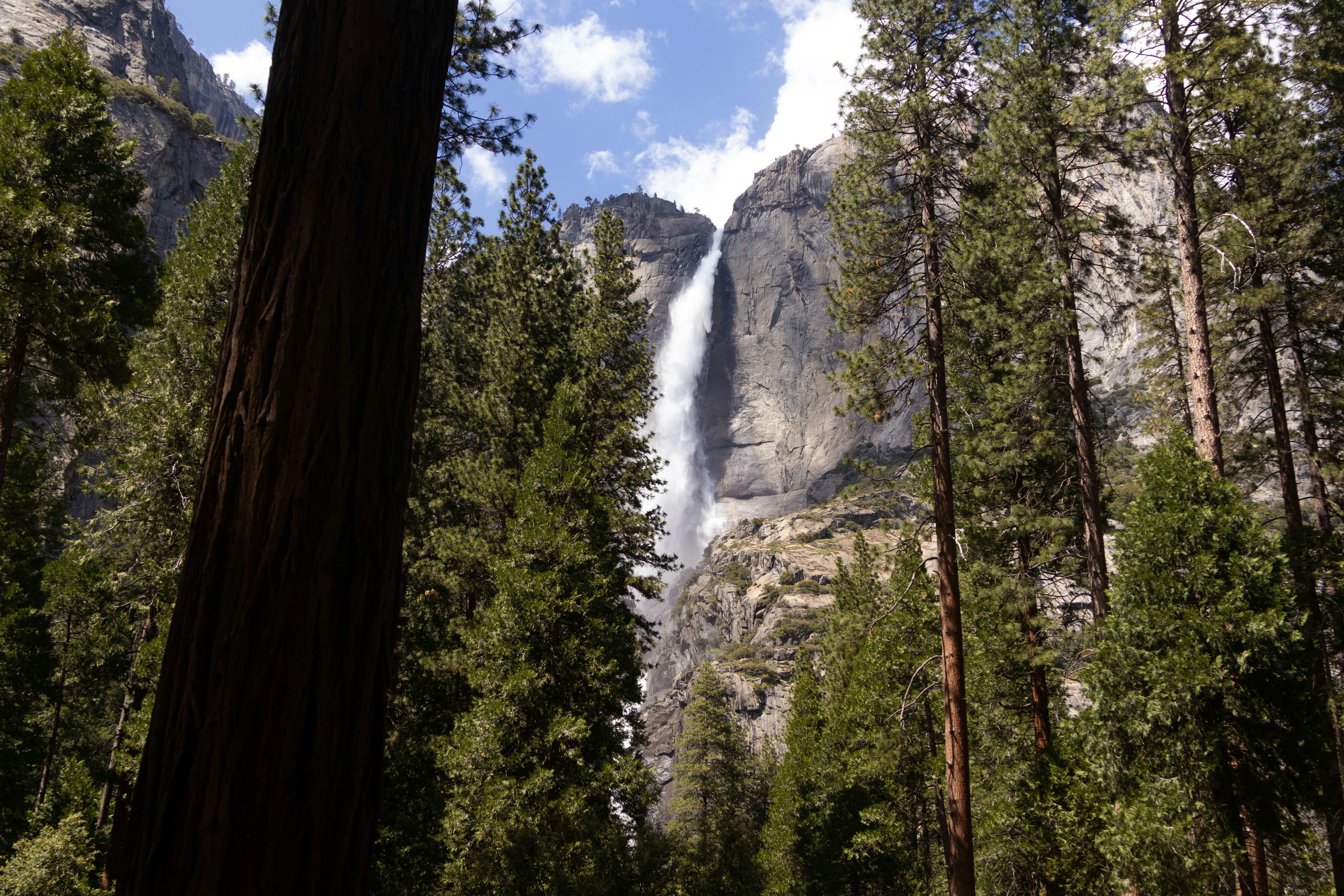 Waterfall cascading down rocky cliffs surrounded by towering trees in a serene forest setting.