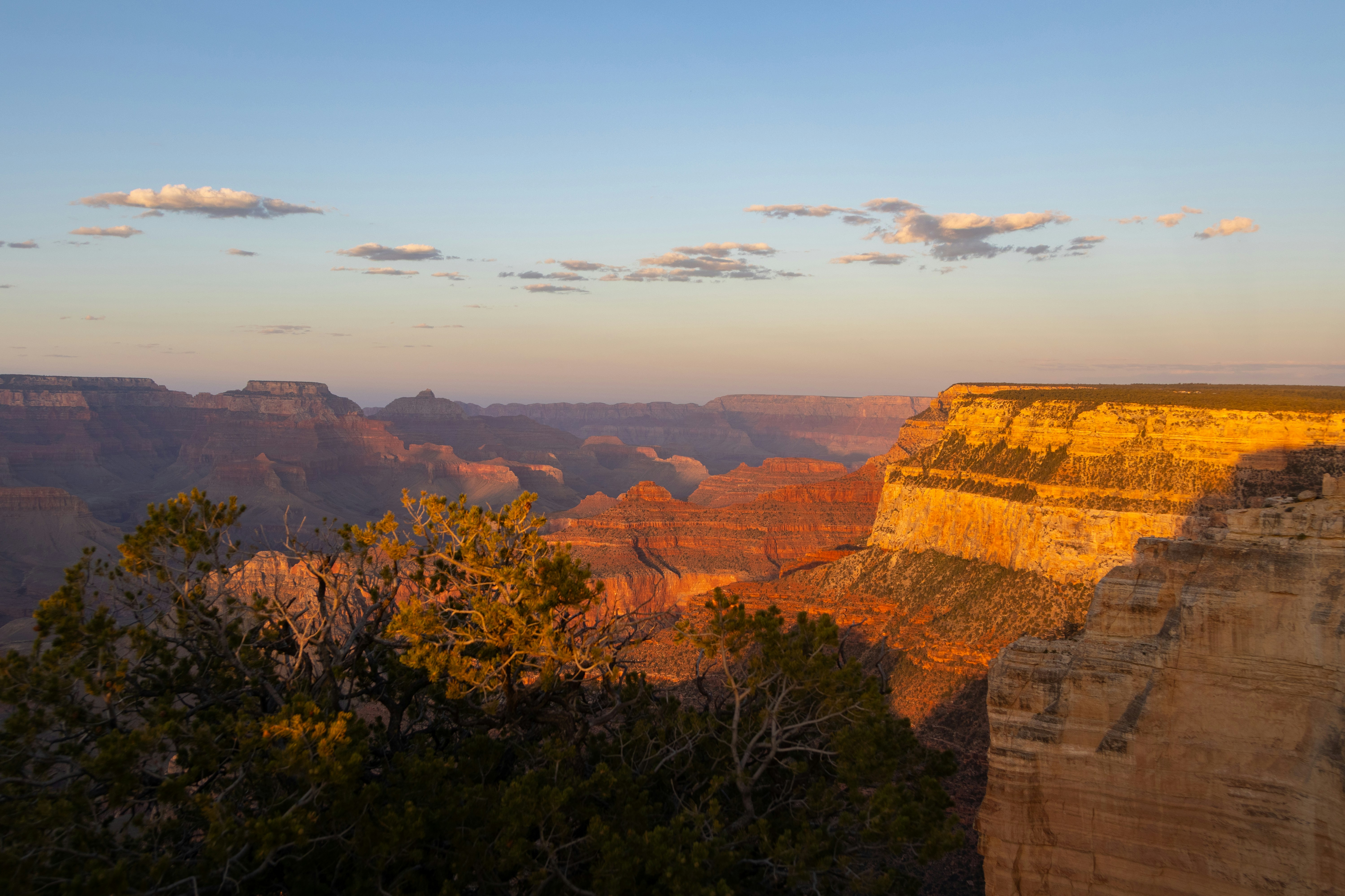 Golden Rim at Sunset: Carved Light Across the Grand Canyon