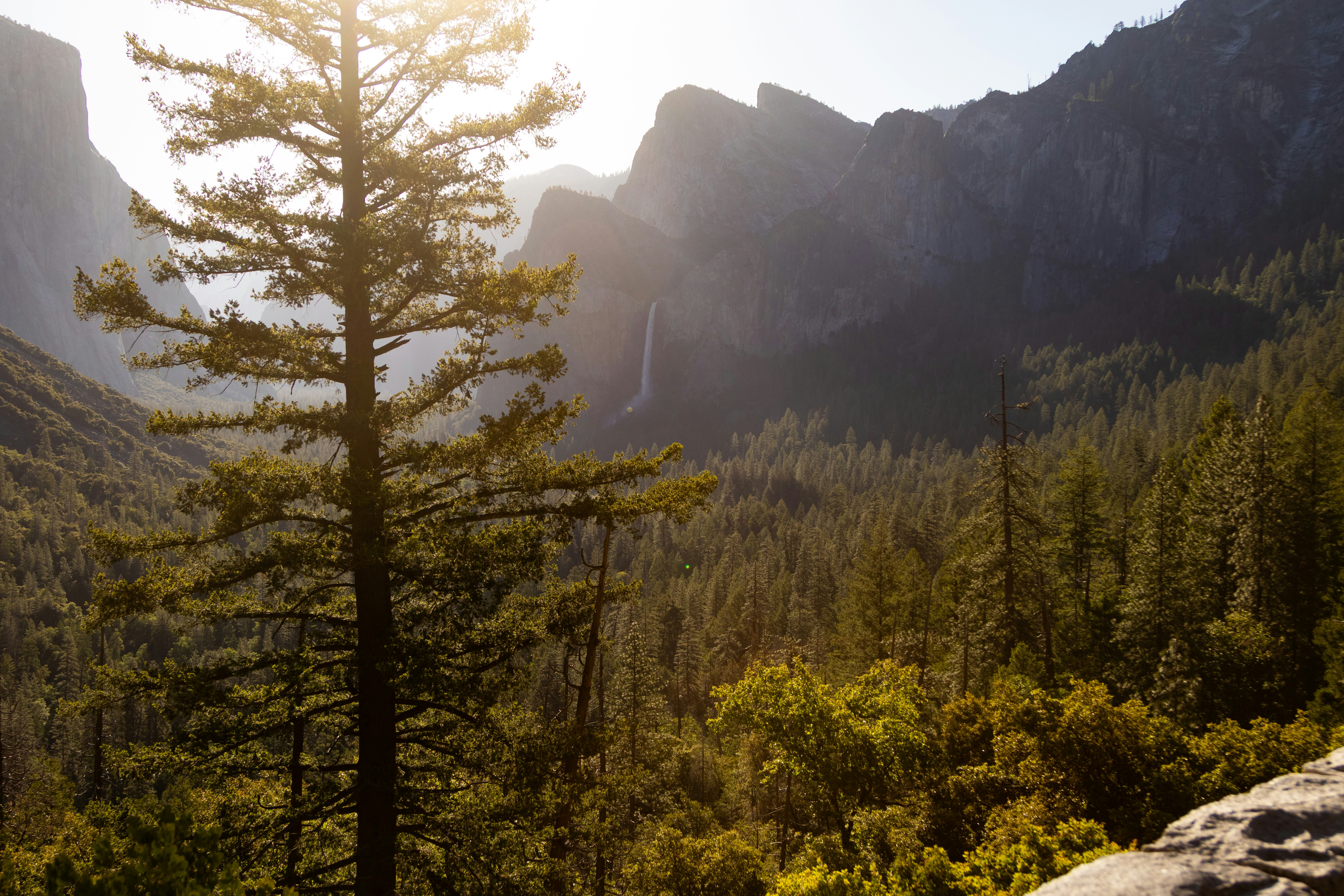 Sunlit forest valley with distant waterfall and waterfall