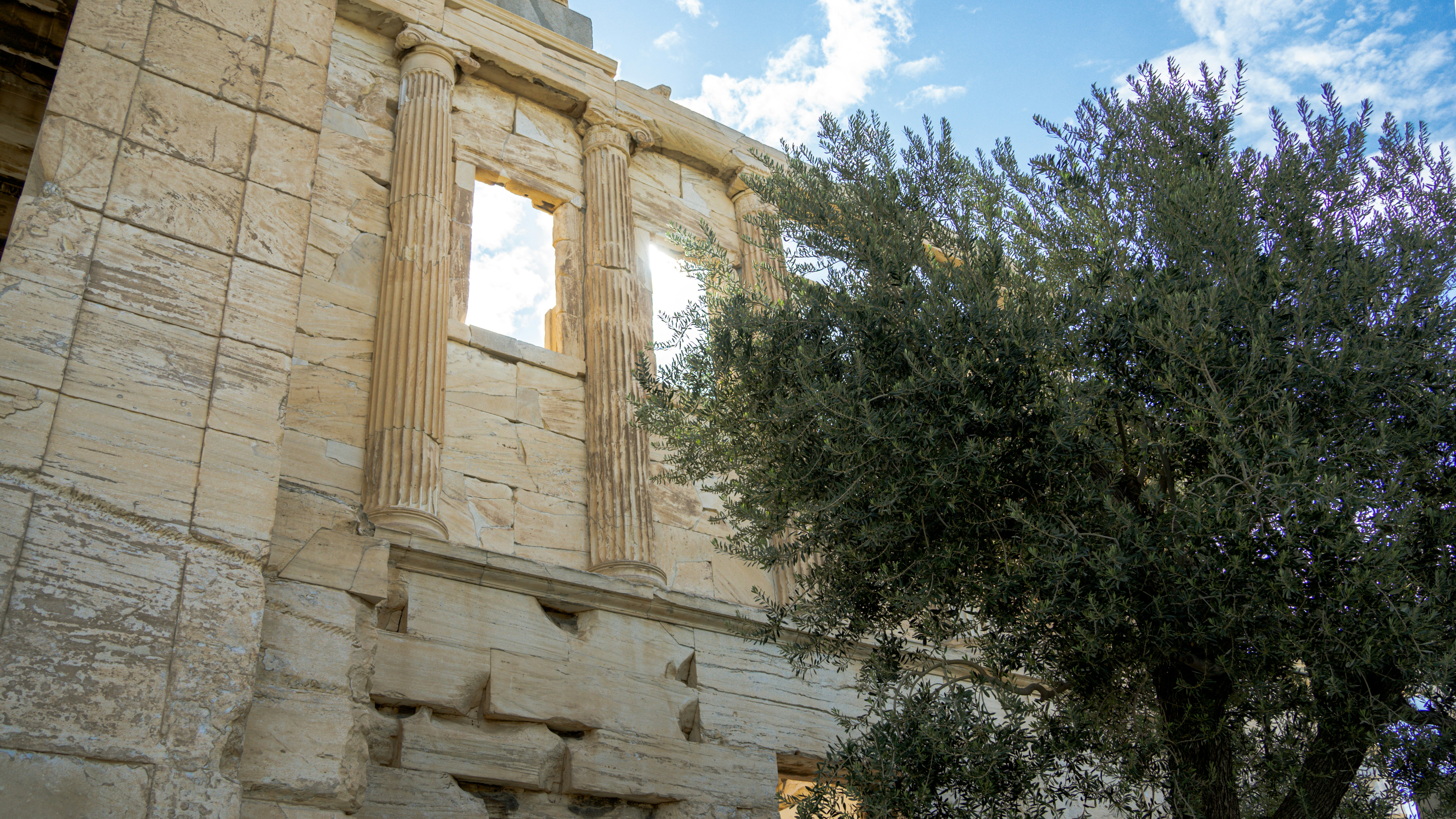 Photo by Jeffrey Zhang with Sony Alpha 7 II