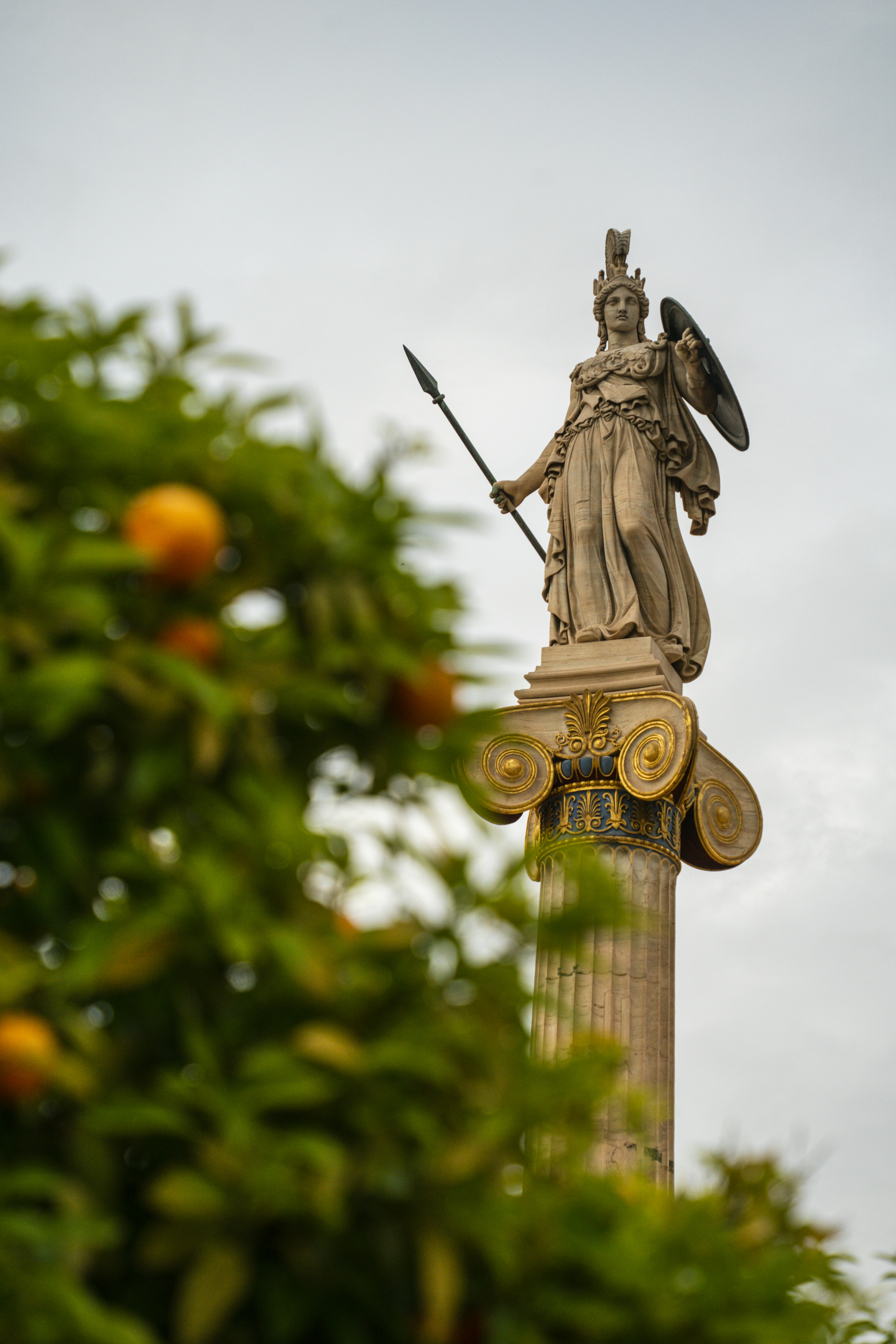 Photo by Jeffrey Zhang with Sony Alpha 7 II