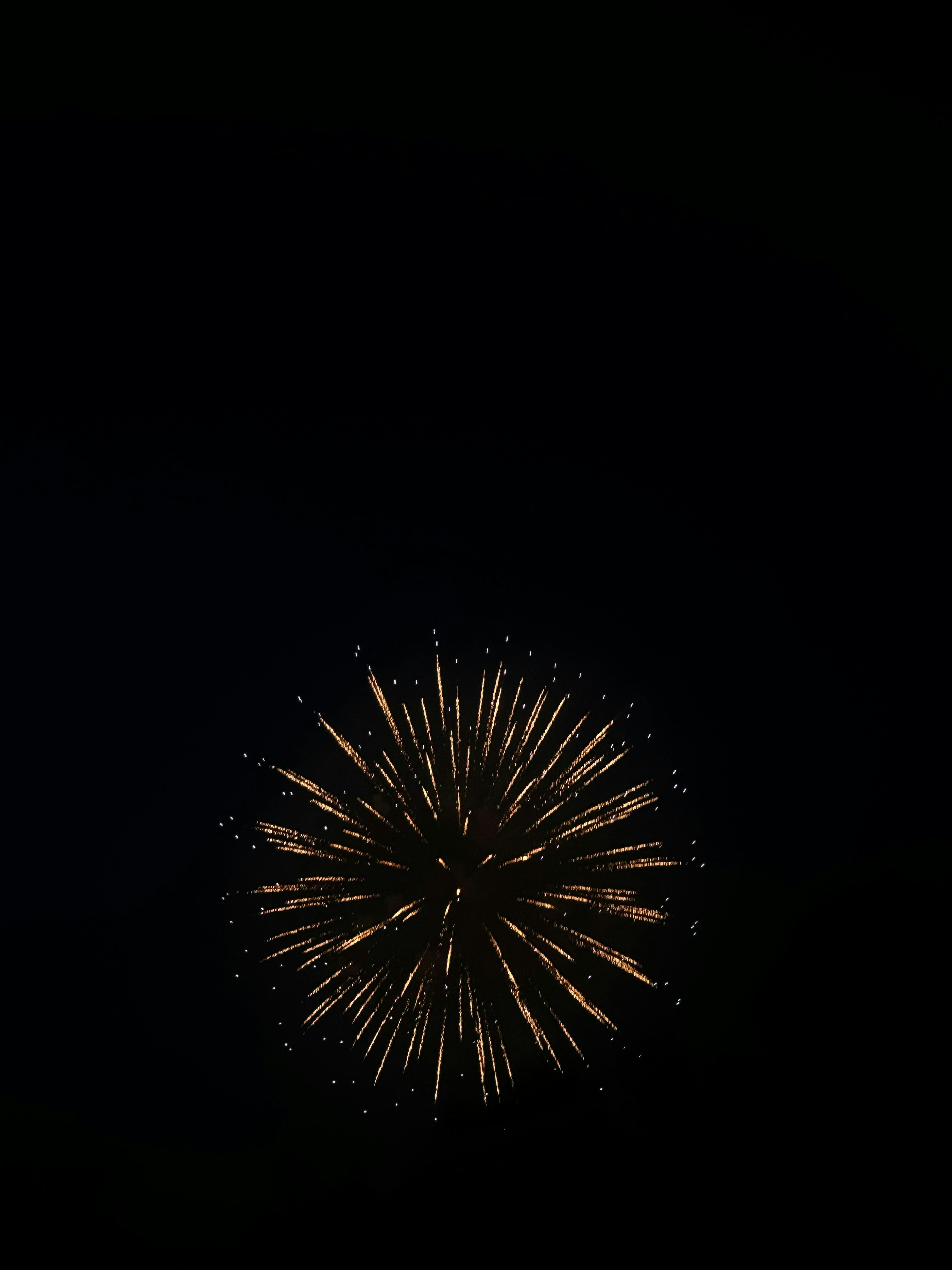 Golden firework explosion illuminating the night sky, surrounded by darkness.