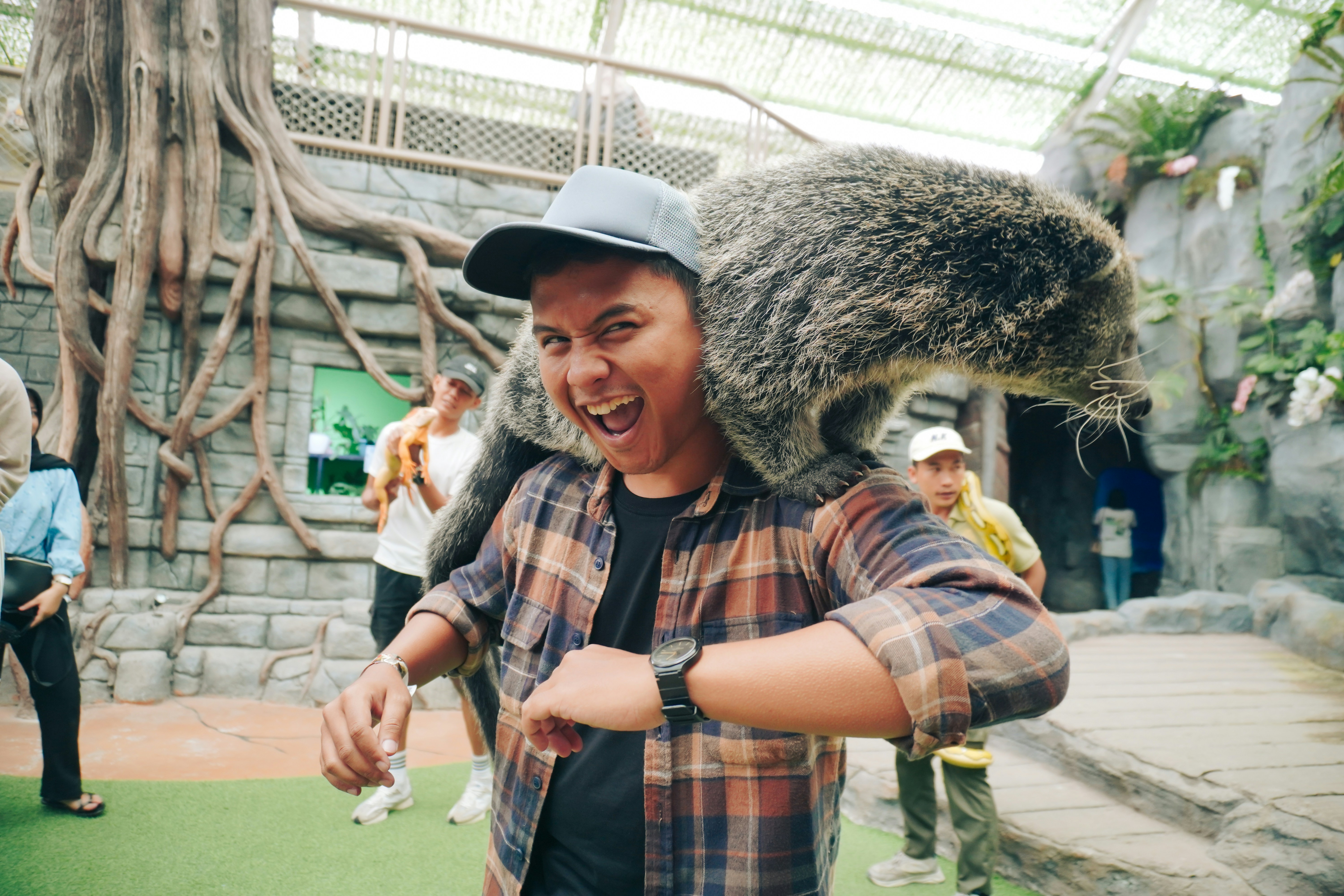 Man with a binturong on his shoulders photo – Free Animal Image on Unsplash
