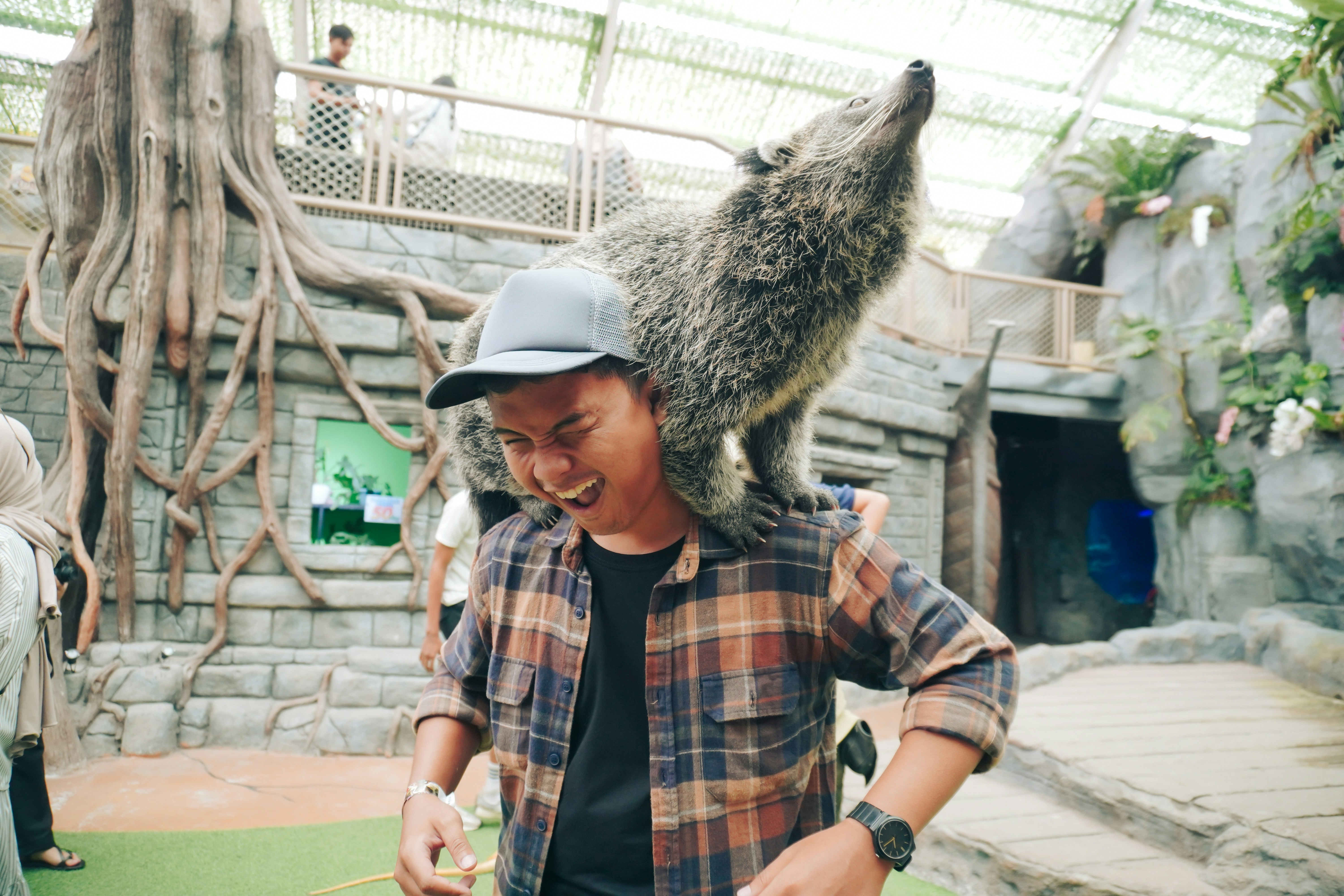 Unexpected Companionship: A Playful Encounter