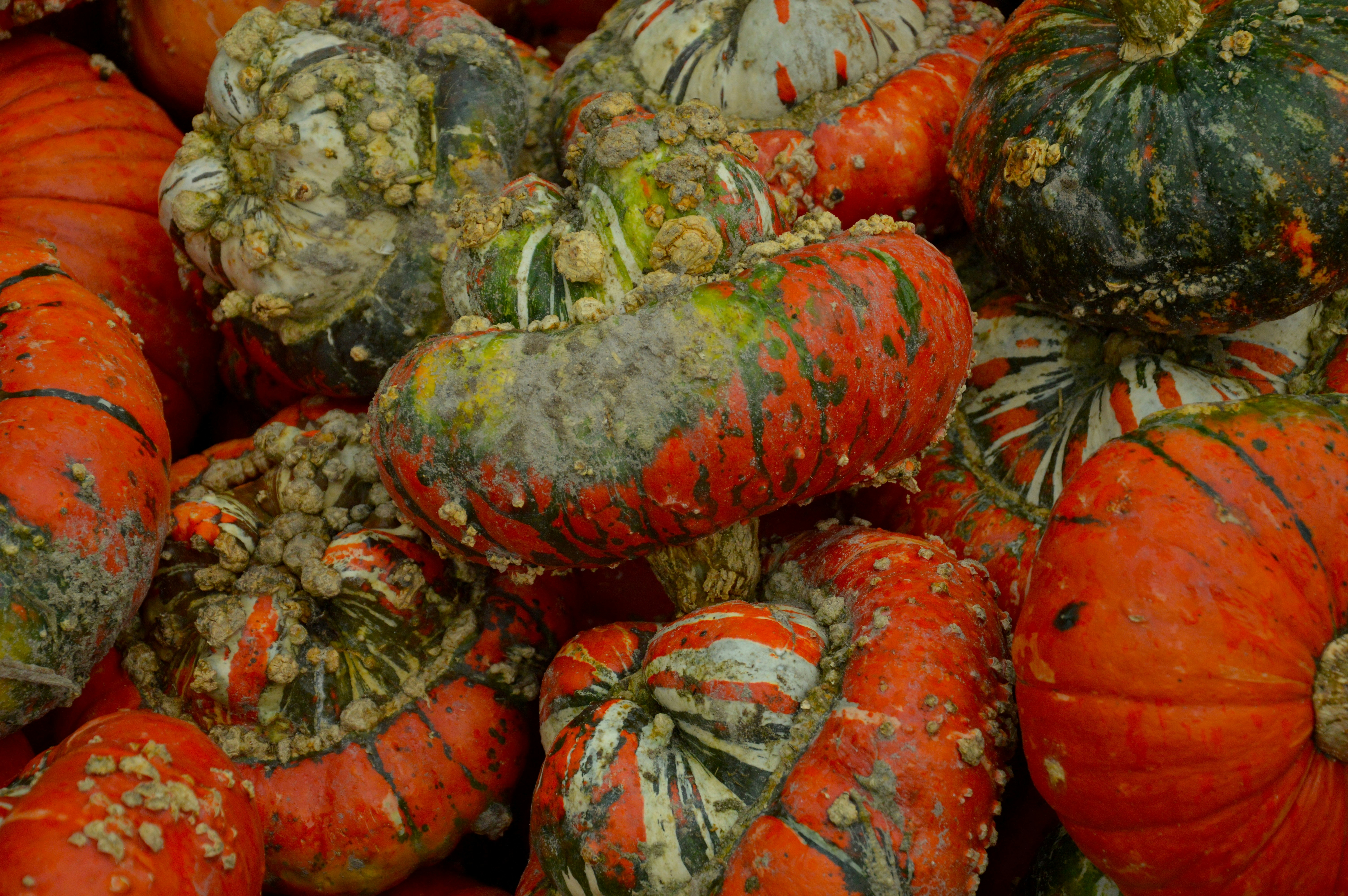 Photo by Oleh Naumenko with Nikon D3200