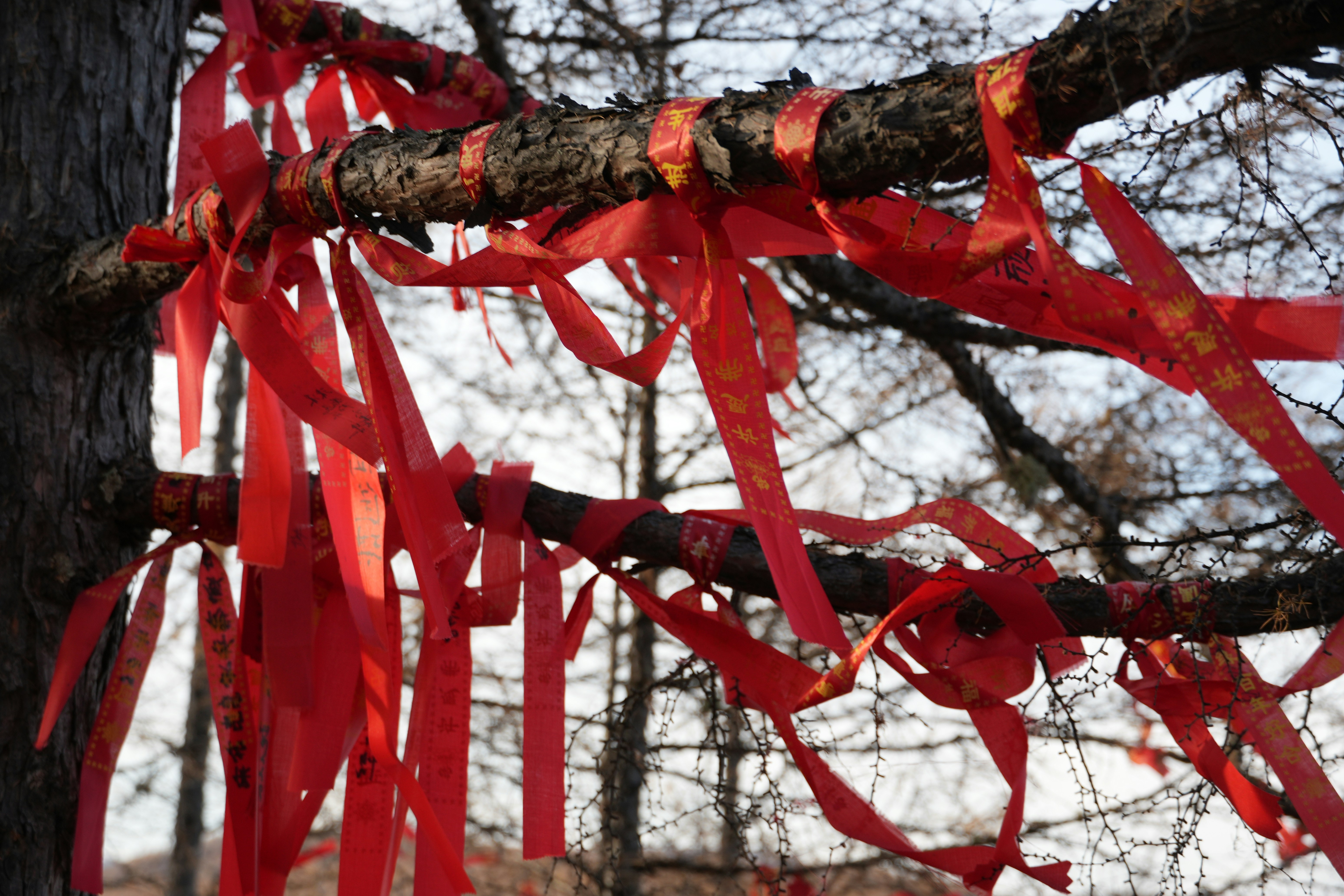 Whispers of Tradition: The Ties That Bind