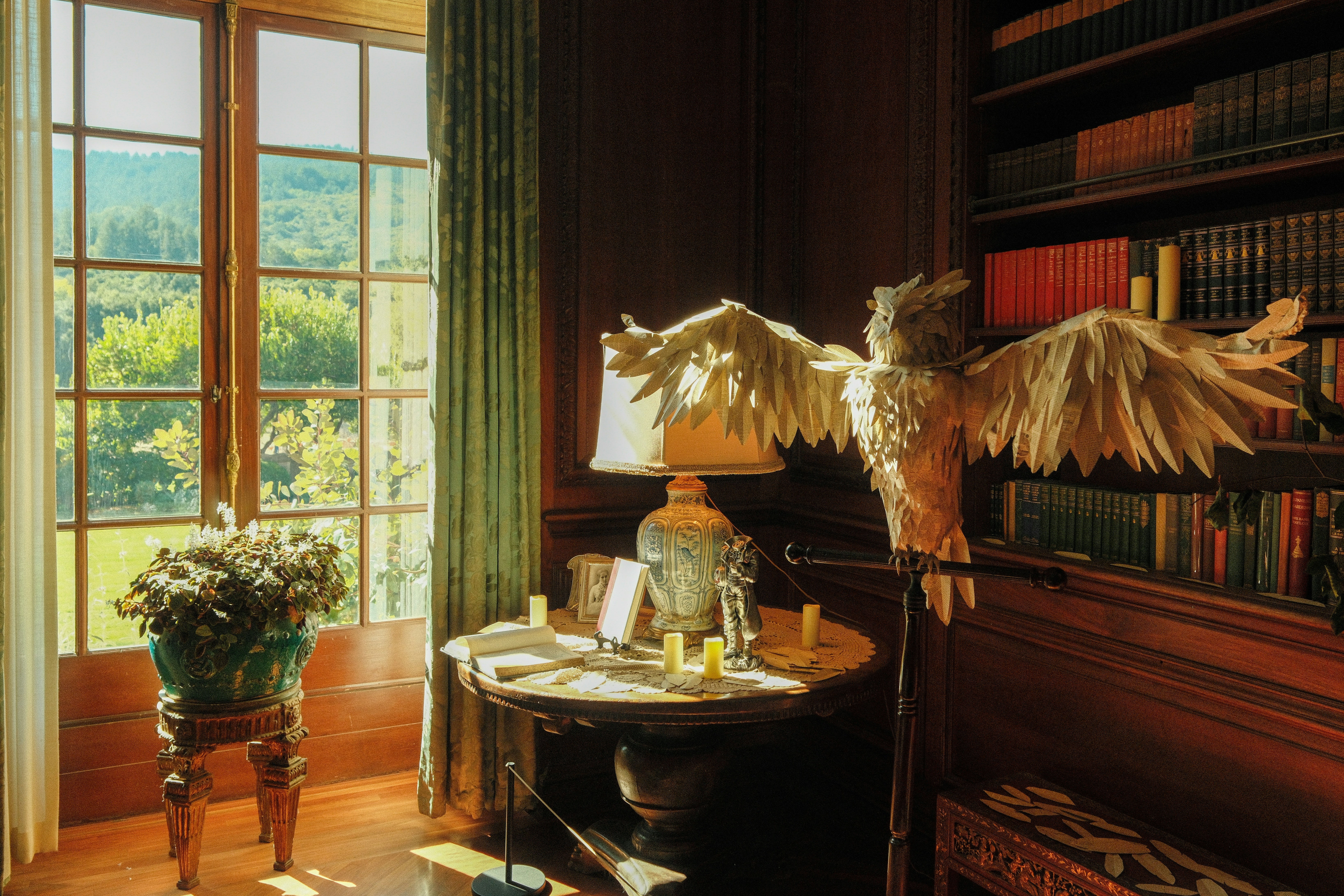 Whispers of Nature in a Timeless Study