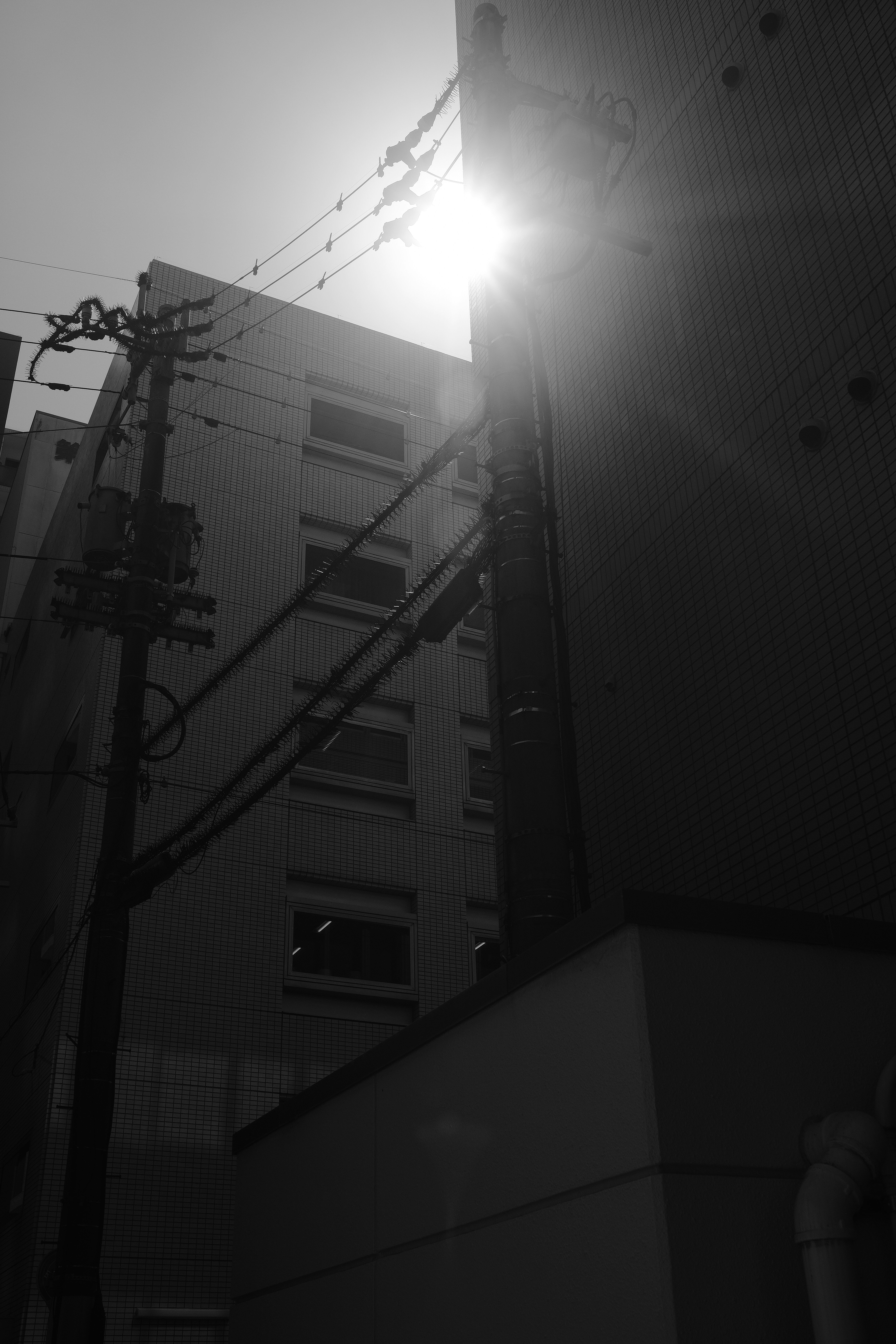 Sunlight shines behind buildings and power lines.
