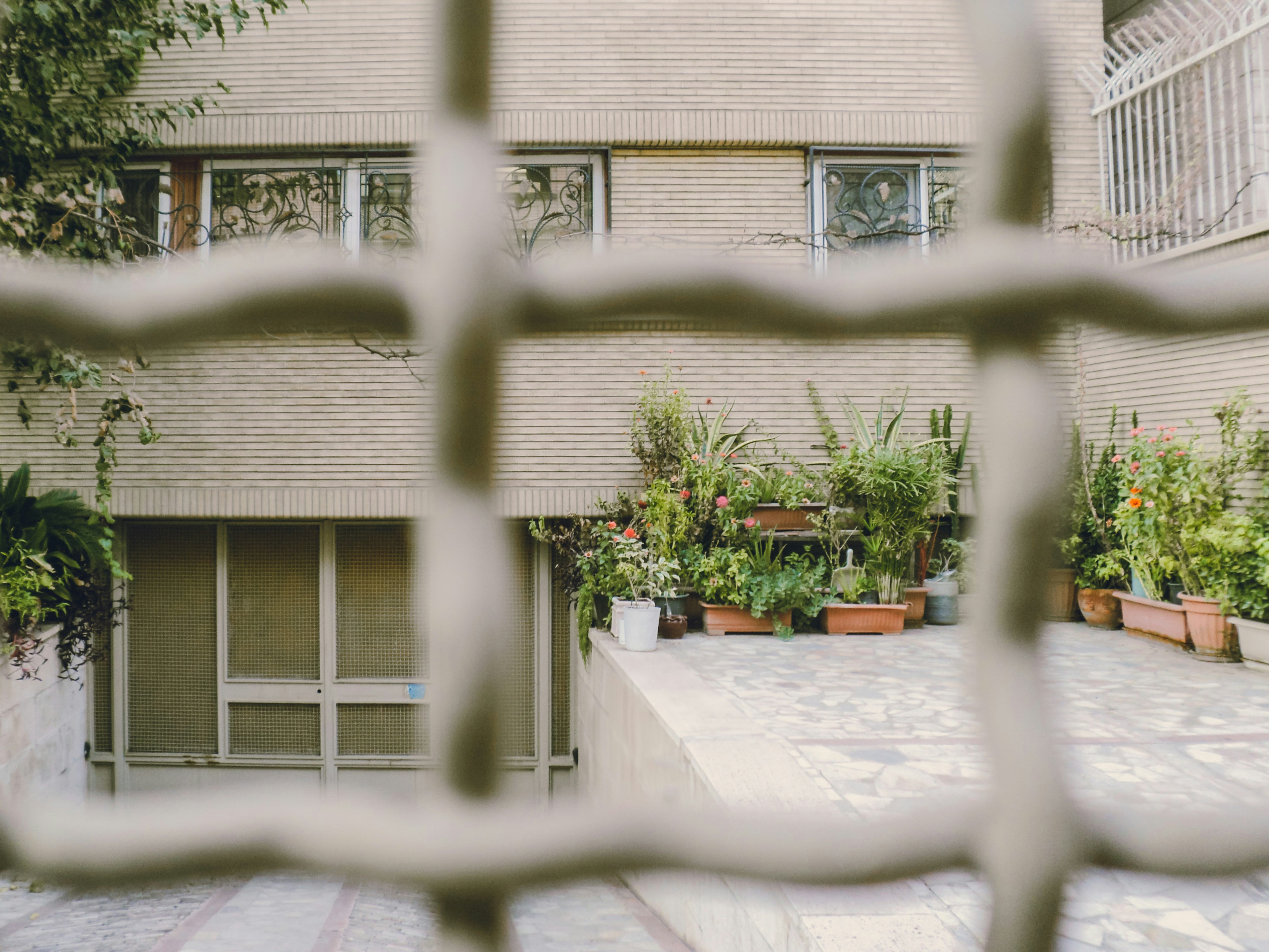 A quiet green corner, seen from afar. | Potted plants on a patio behind a metal grate.