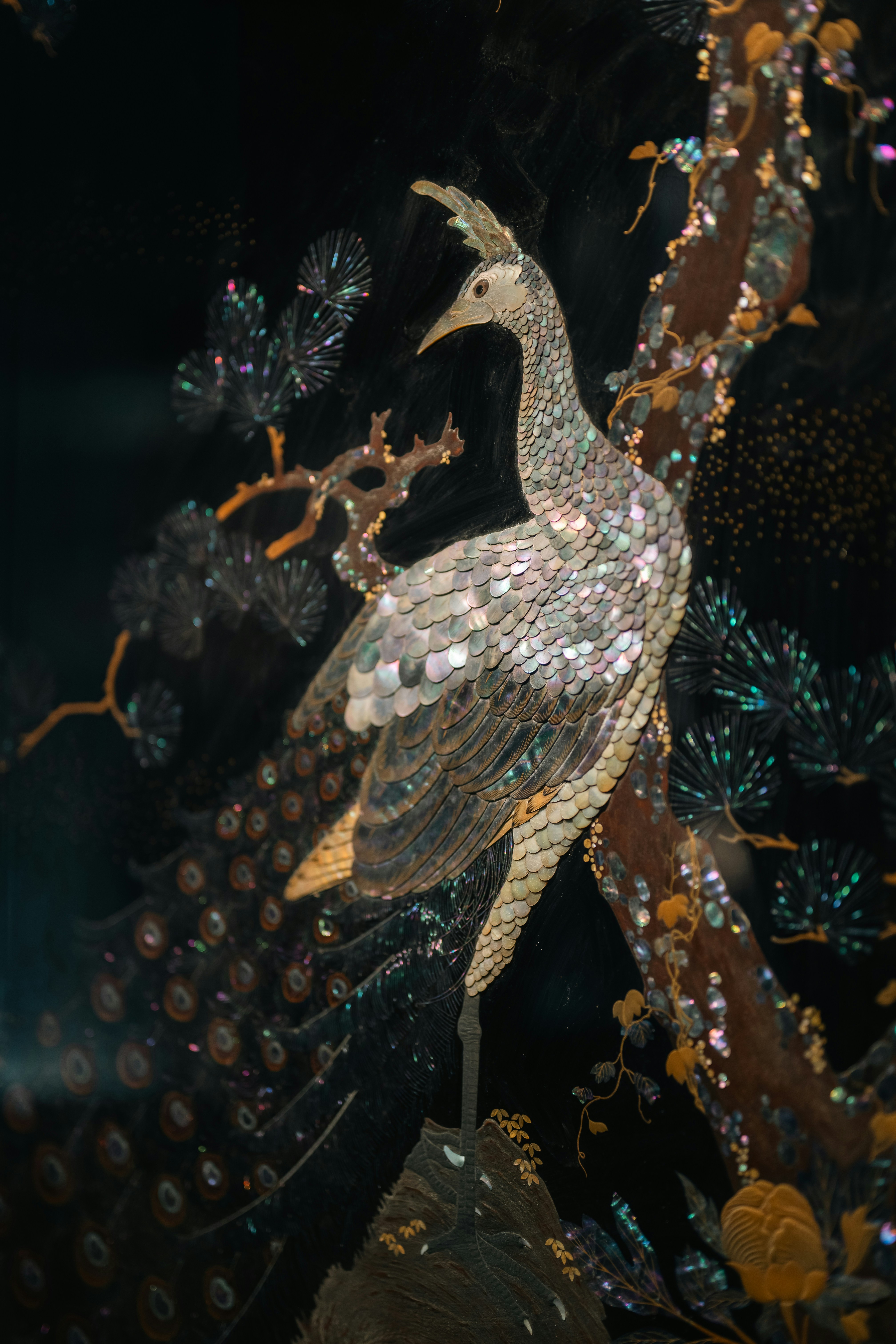 Elegance Embodied: The Art of the Peacock